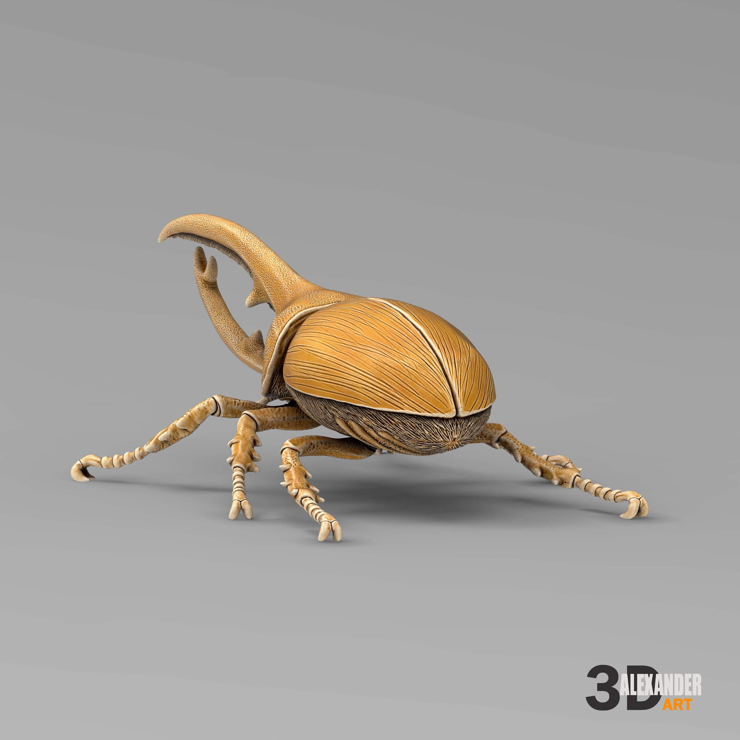 Hercules Beetle - 3D Model by Alexander3dart