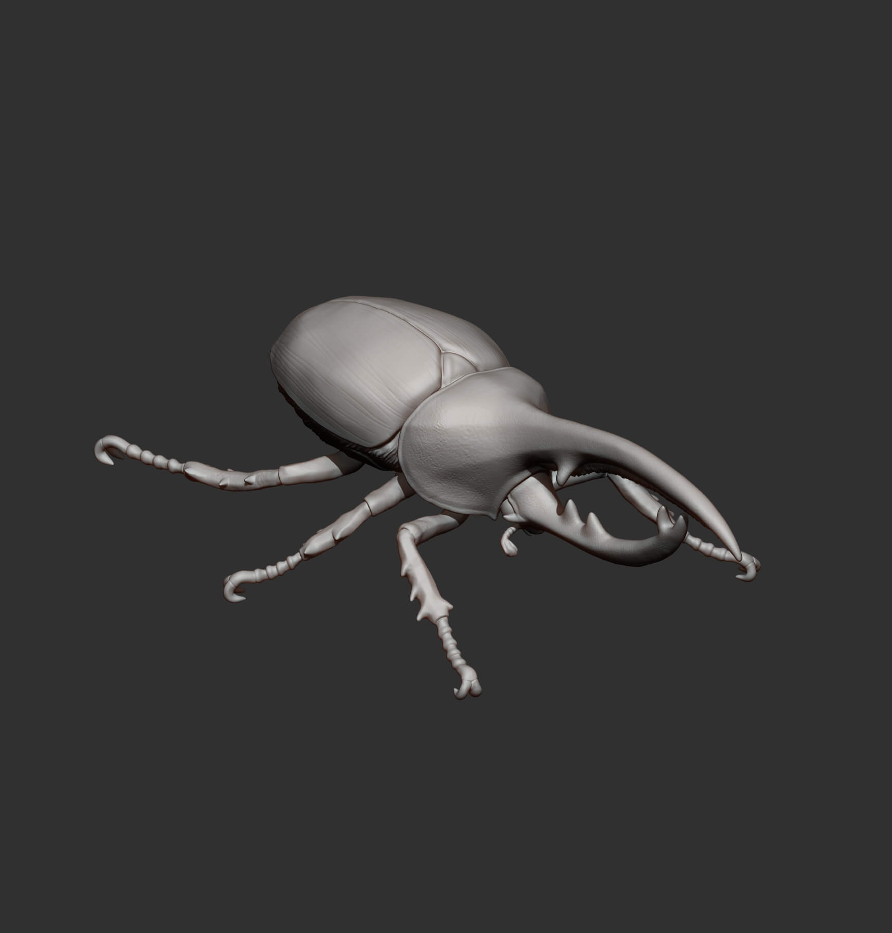 Hercules Beetle - 3D Model by Alexander3dart
