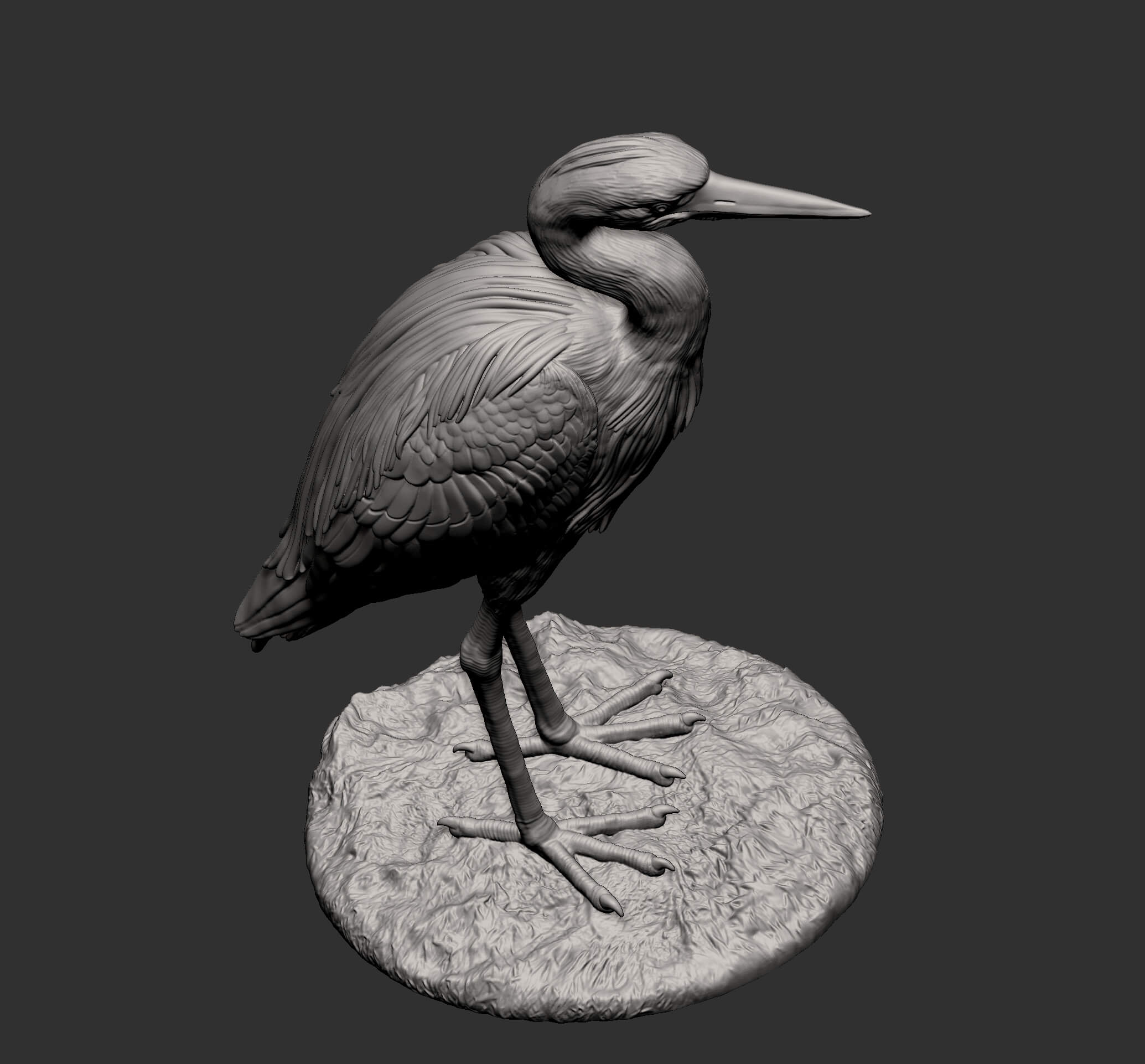 Heron 3D Print Model by Alexander3dart