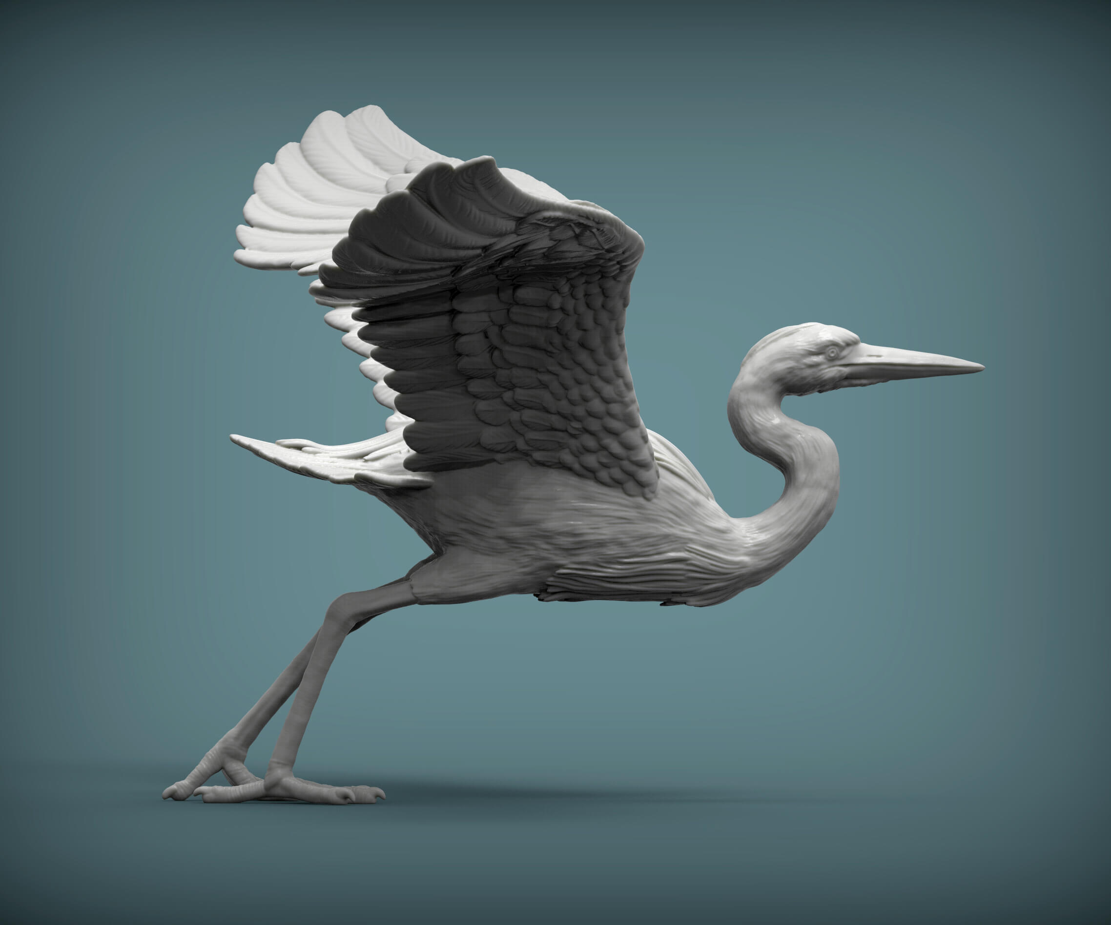 Heron Taking Off 3D Print Model by Alexander3dart