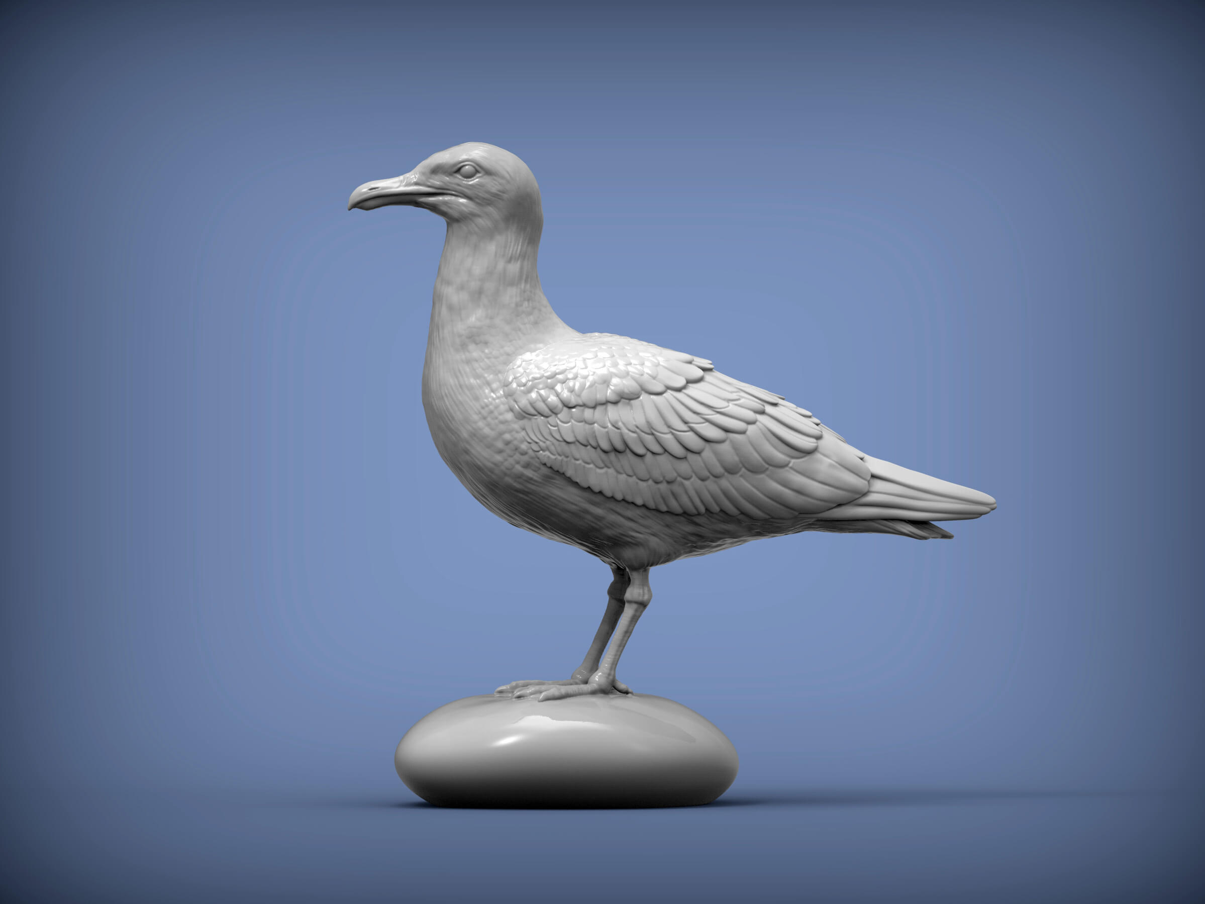 Herring Gull 3D Print Model by Alexander3dart