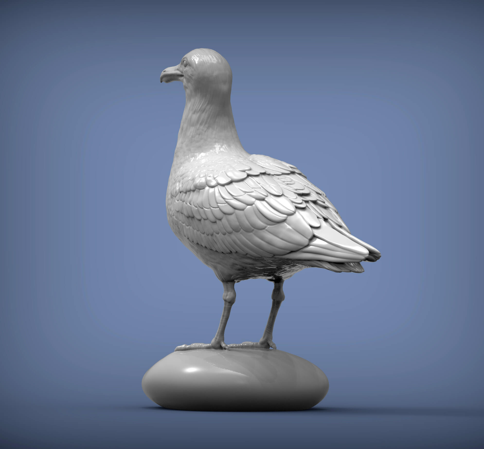 Herring Gull 3D Print Model by Alexander3dart