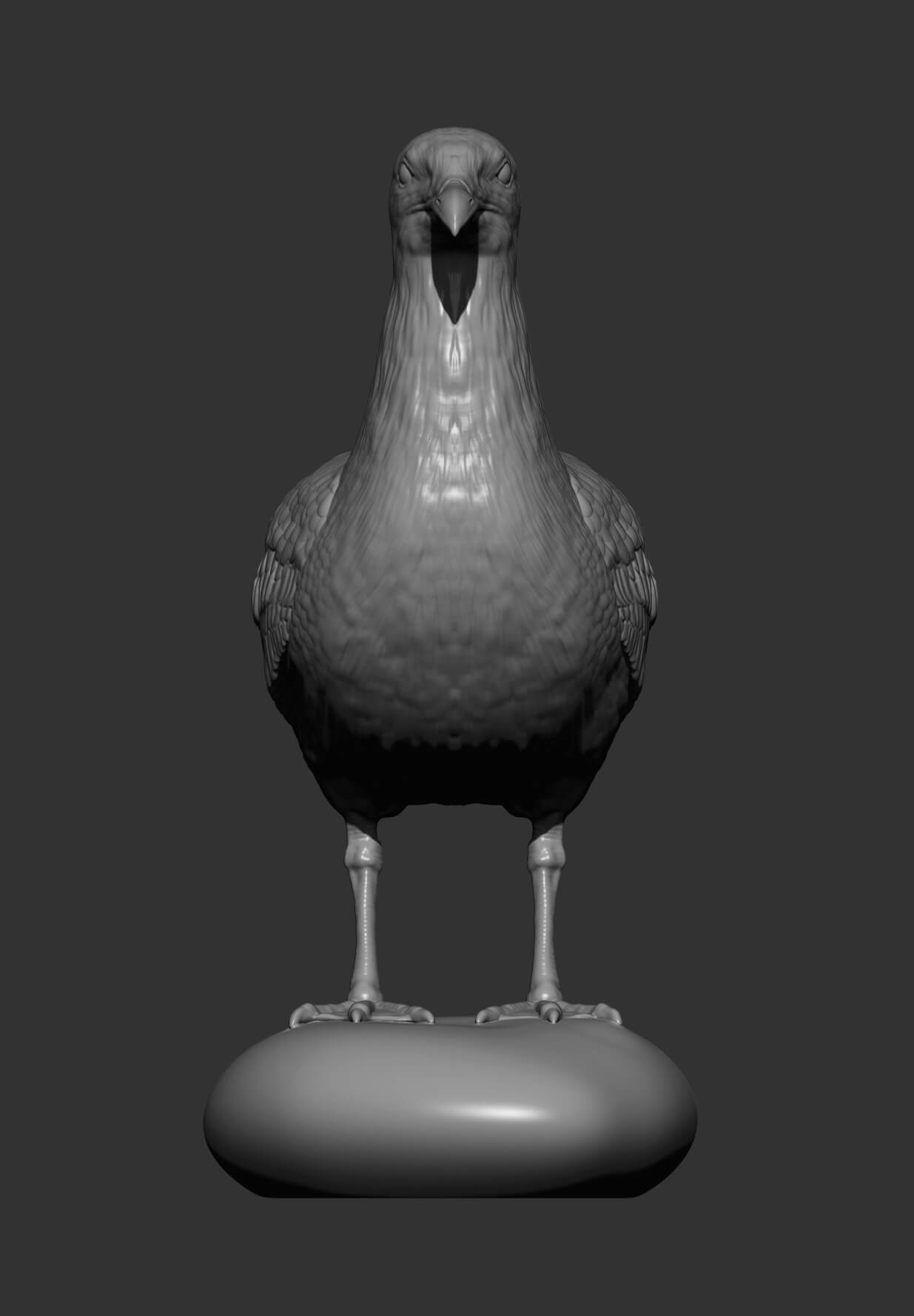 Herring Gull 3D Print Model by Alexander3dart