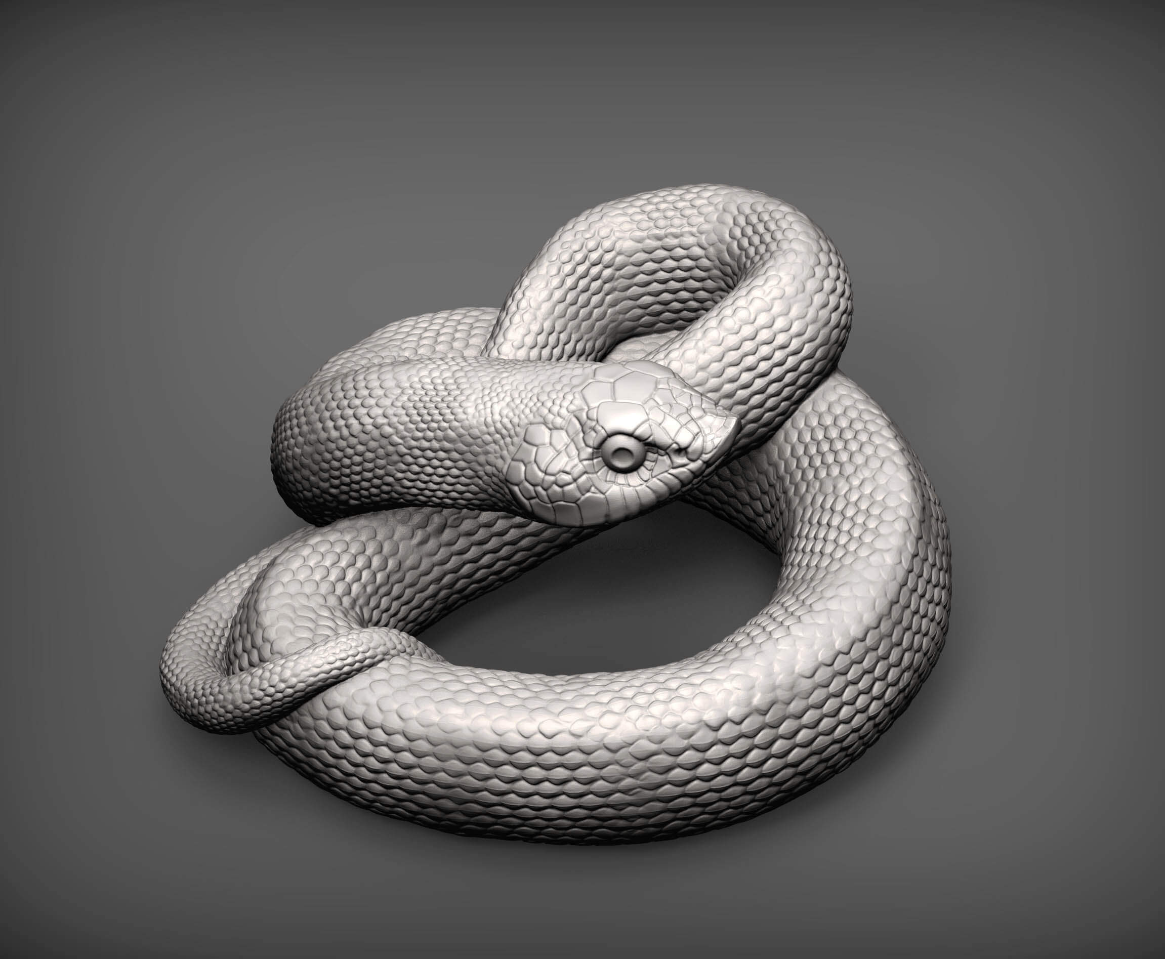 Hognose Snakes 3D Print Model by Alexander3dart
