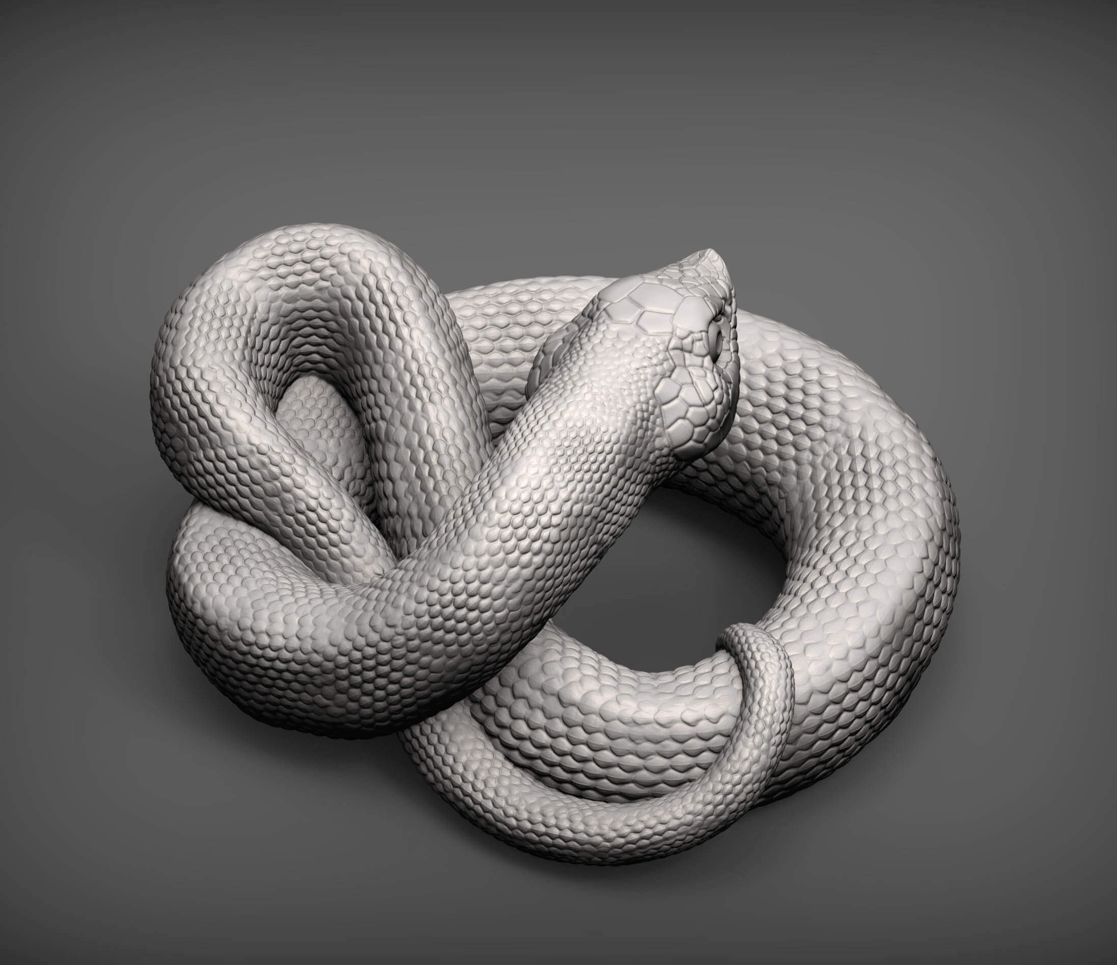 Hognose Snakes 3D Print Model by Alexander3dart