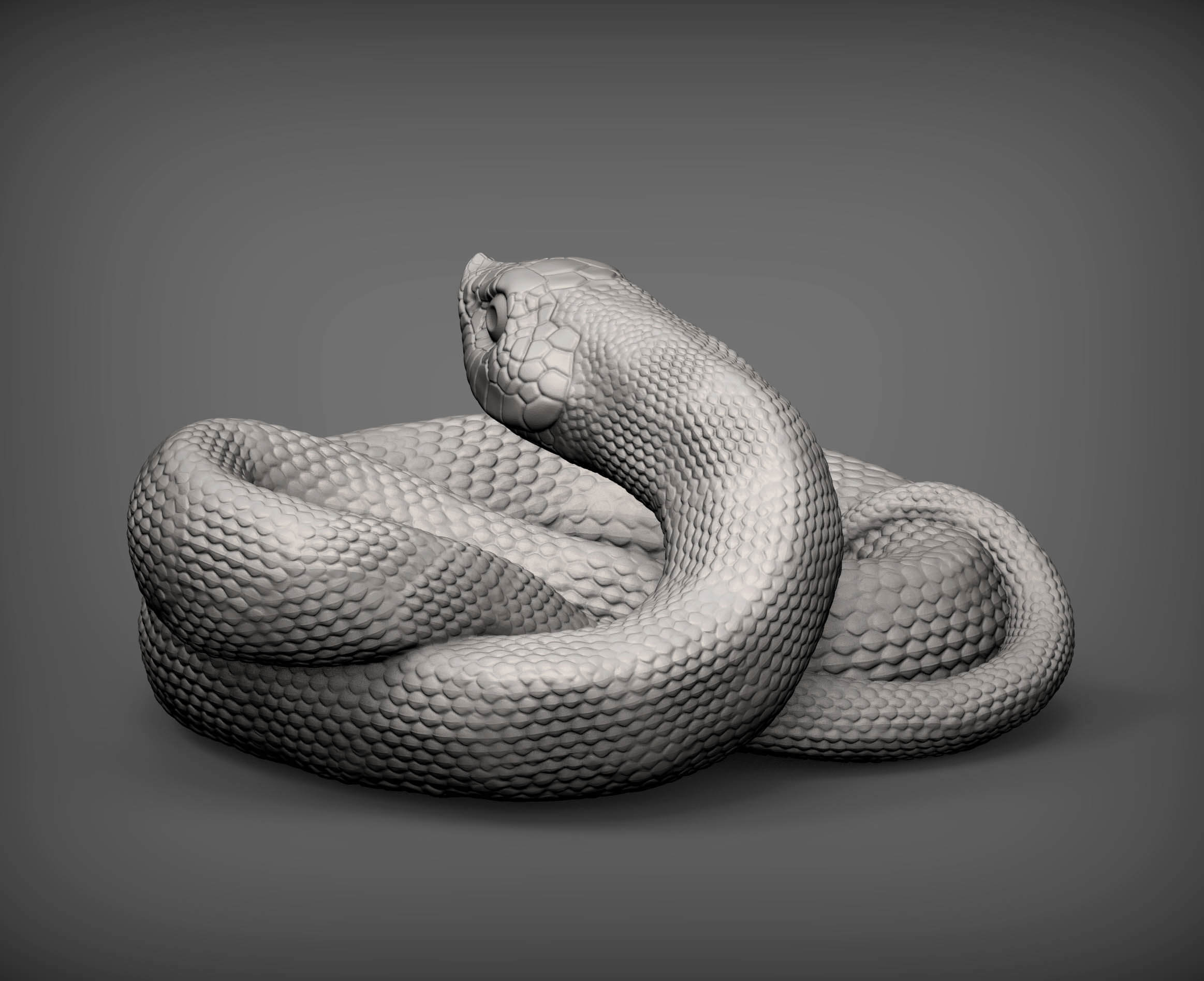 Hognose Snakes 3D Print Model by Alexander3dart