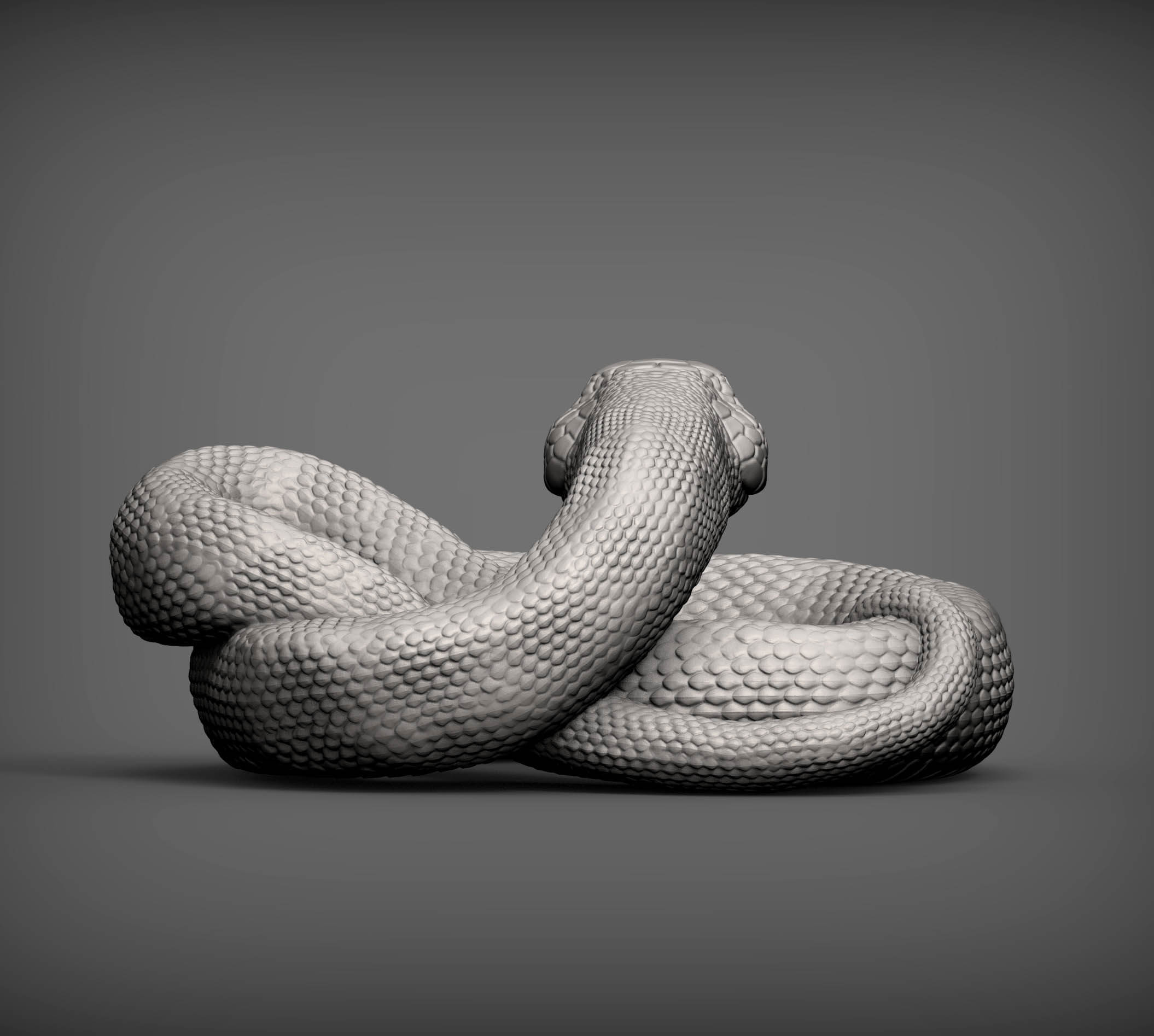 Hognose Snakes 3D Print Model by Alexander3dart