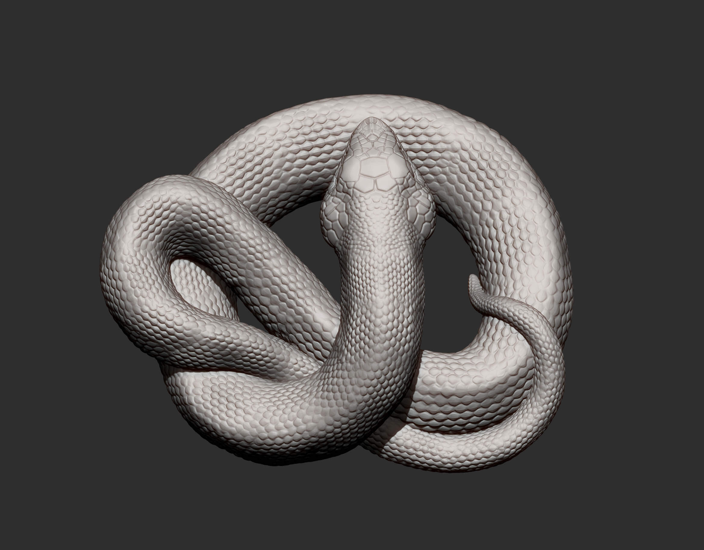 Hognose Snakes 3D Print Model by Alexander3dart