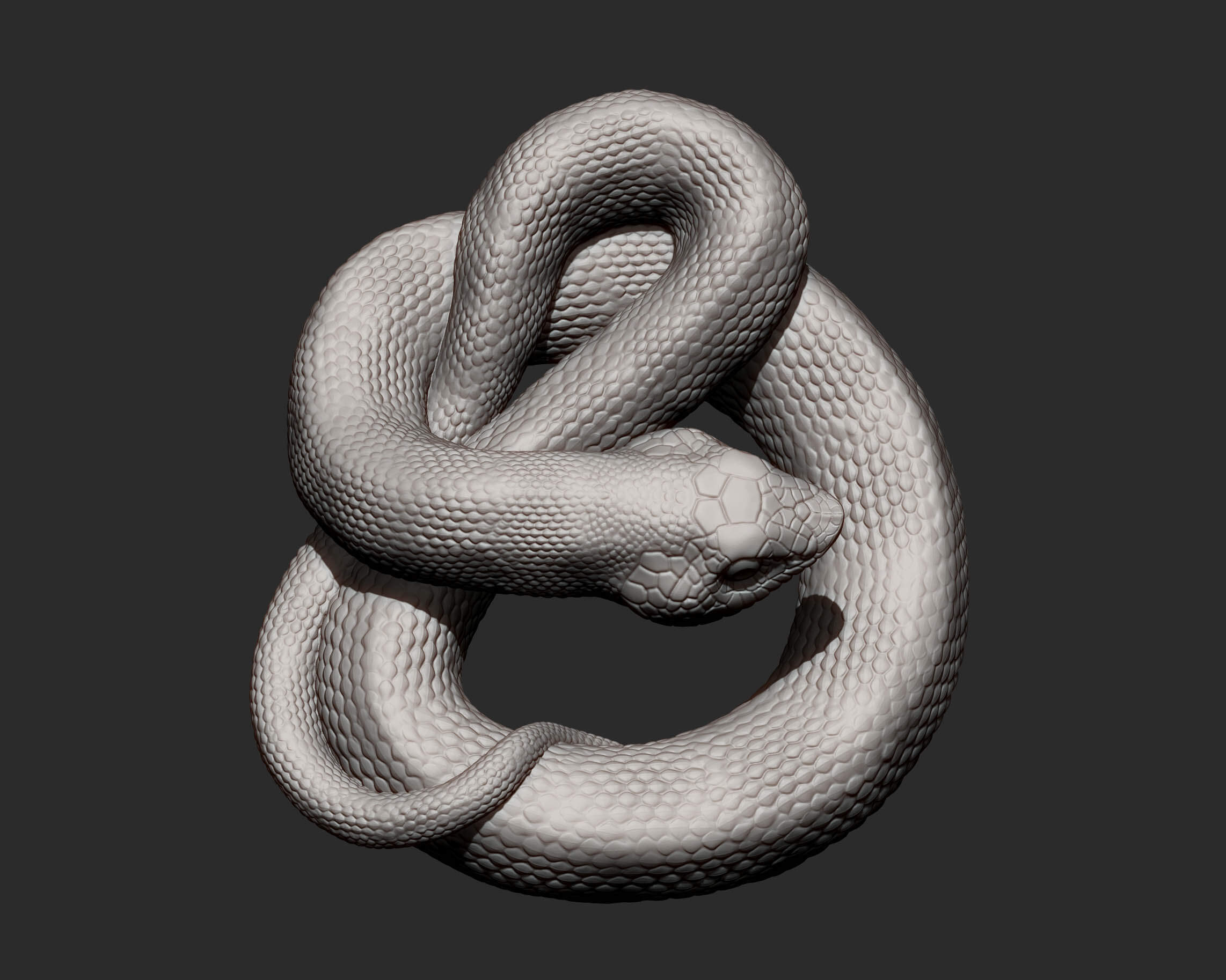 Hognose Snakes 3D Print Model by Alexander3dart