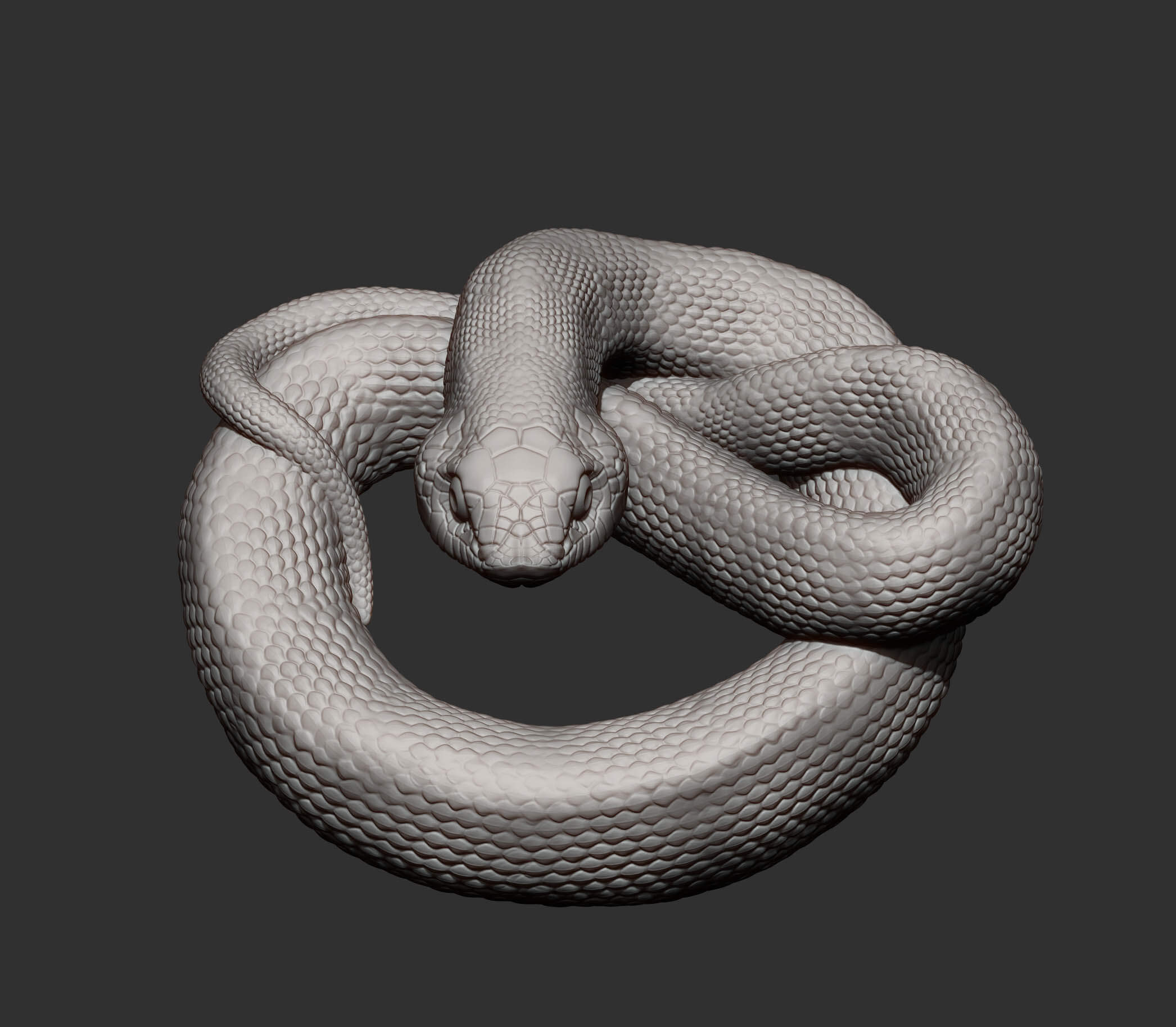 Hognose Snakes 3D Print Model by Alexander3dart