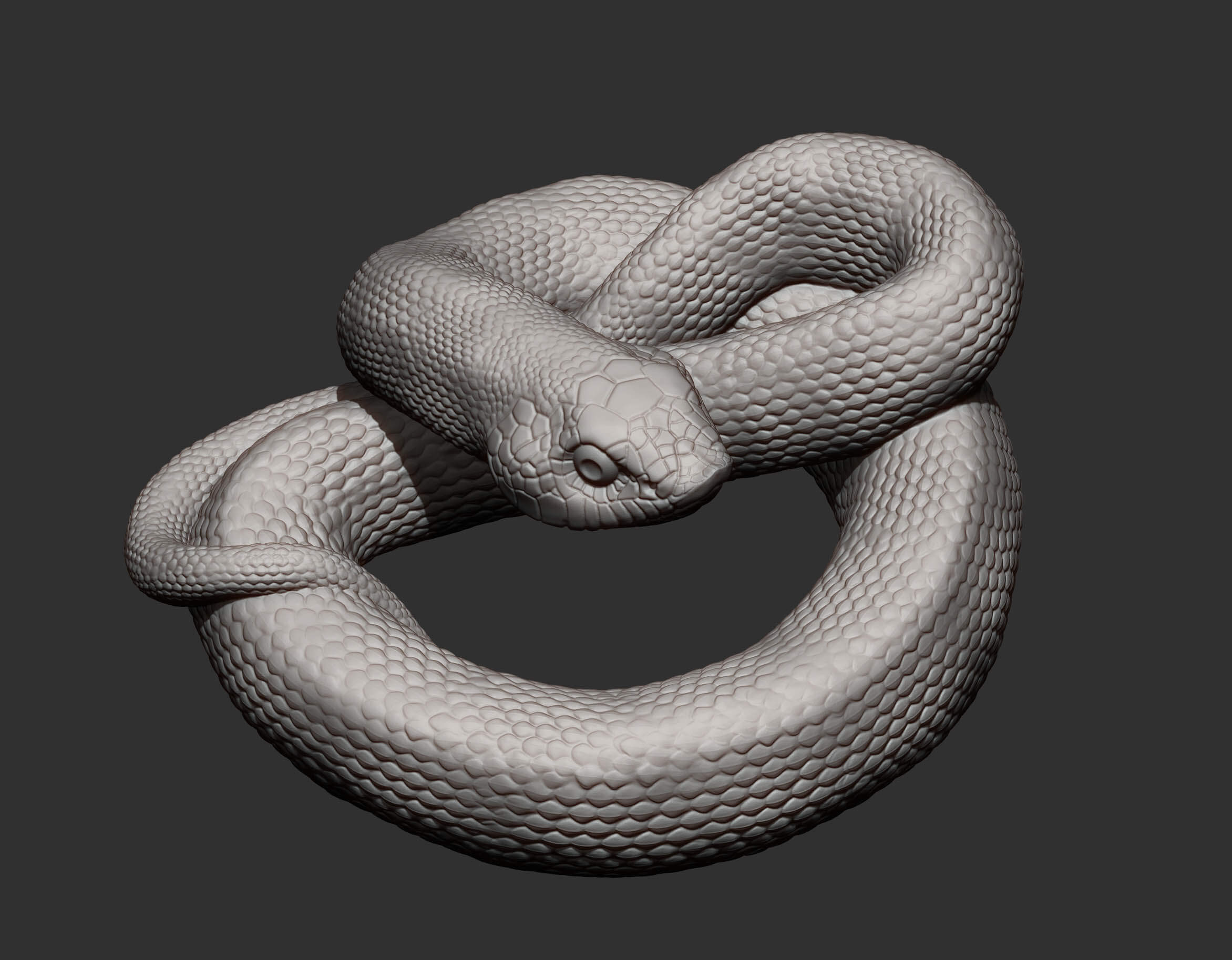 Hognose Snakes 3D Print Model by Alexander3dart