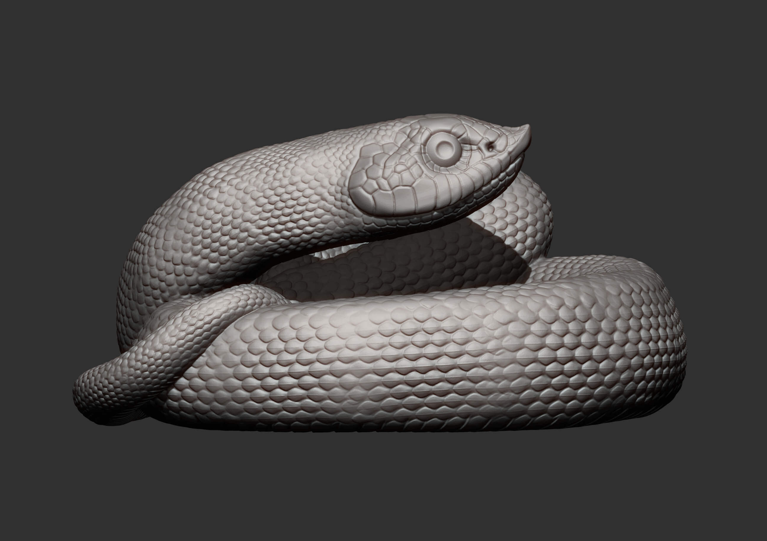Hognose Snakes 3D Print Model by Alexander3dart