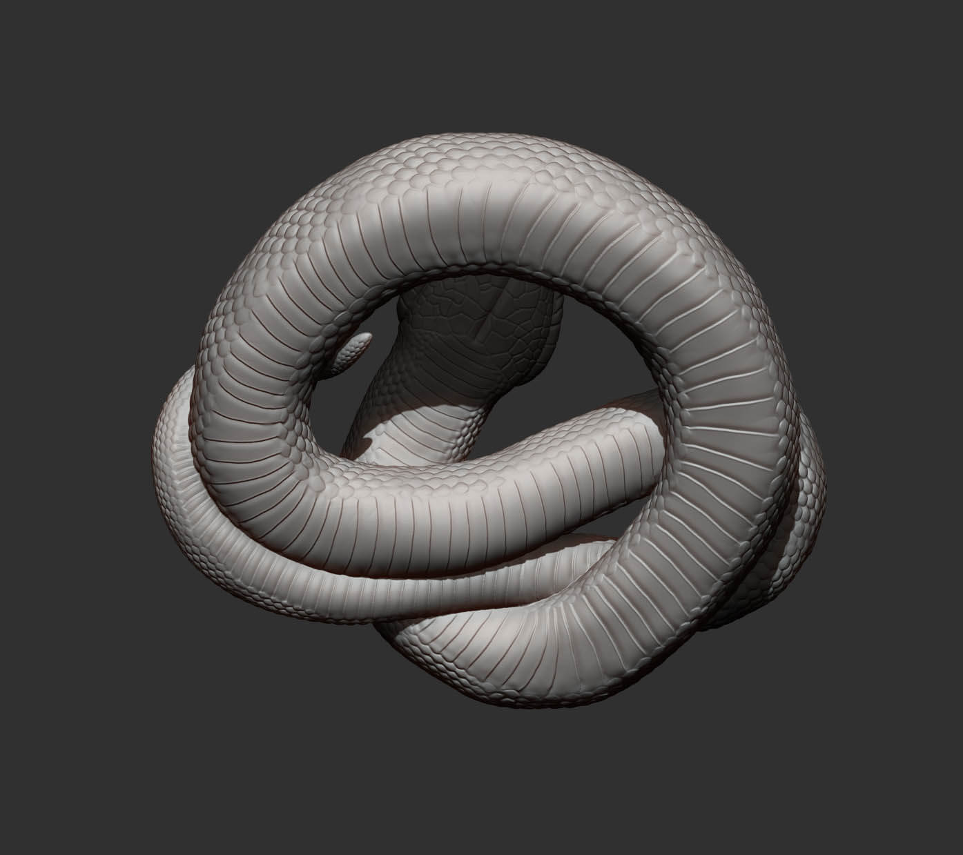 Hognose Snakes 3D Print Model by Alexander3dart