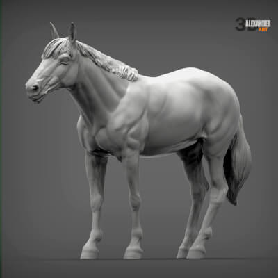 High Poly Models | Animals | Horses | RenderHub