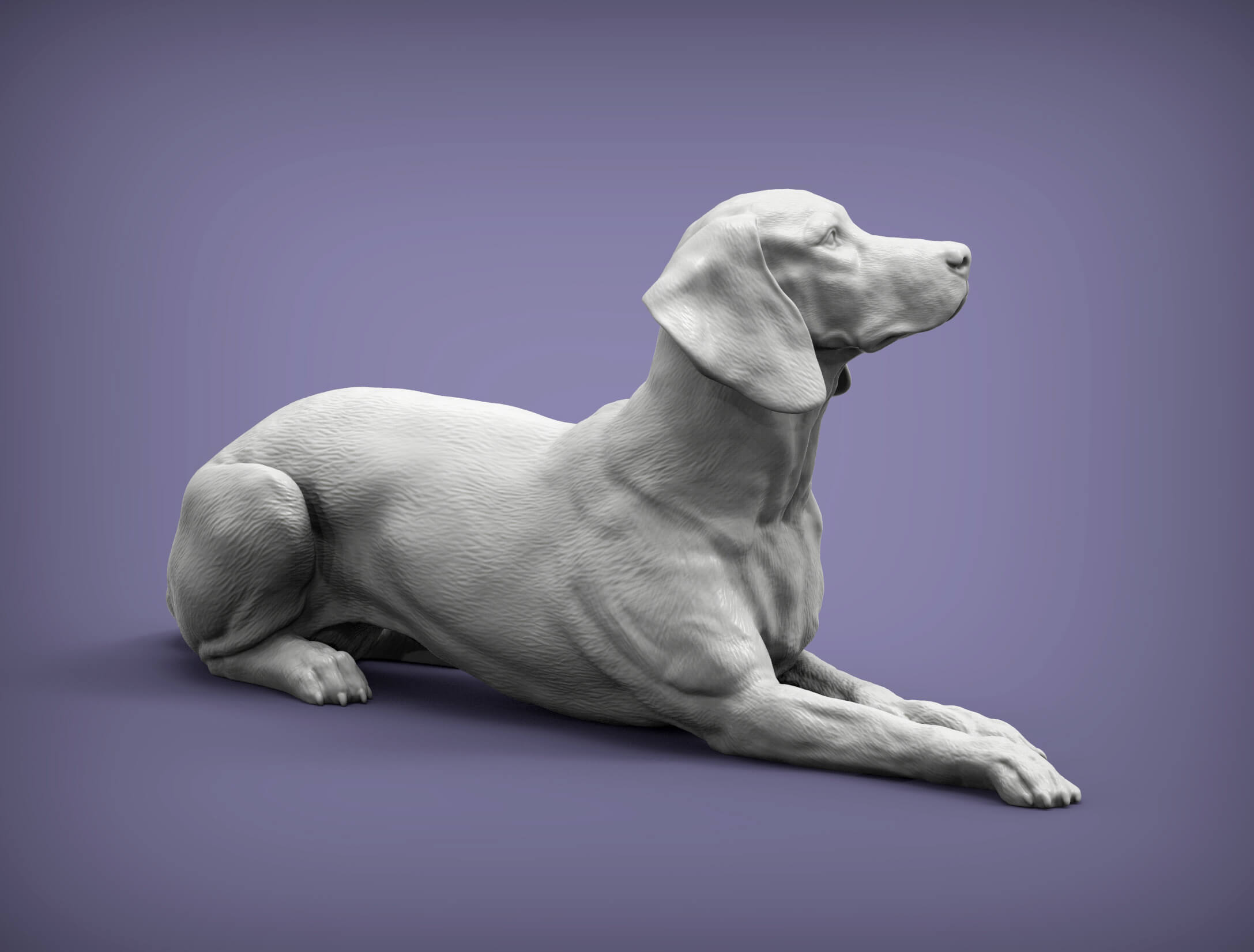 Hungarian Vizsla Hungarian Pointing Dog 3D Print Model by Alexander3dart