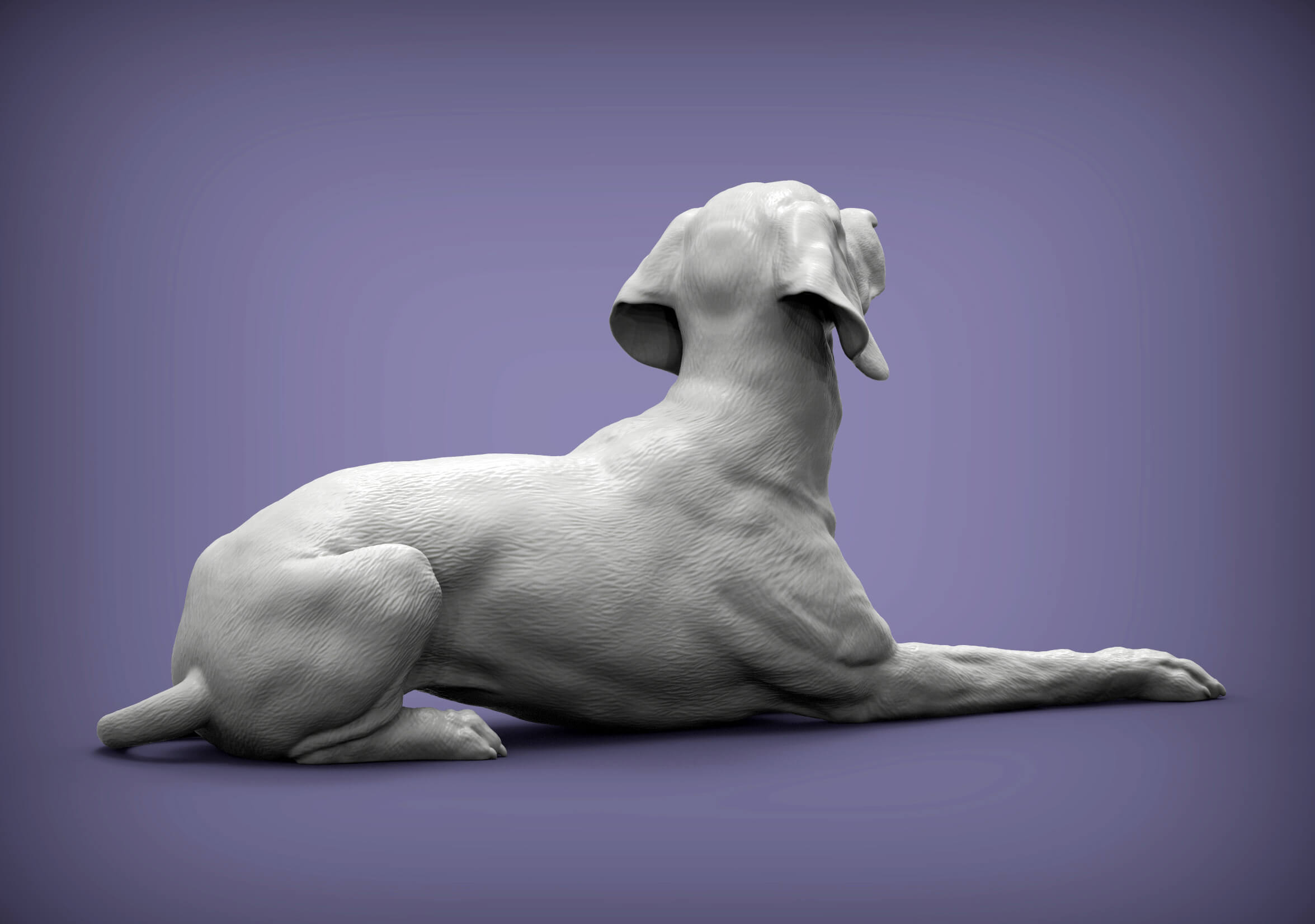 Hungarian Vizsla Hungarian Pointing Dog 3D Print Model by Alexander3dart