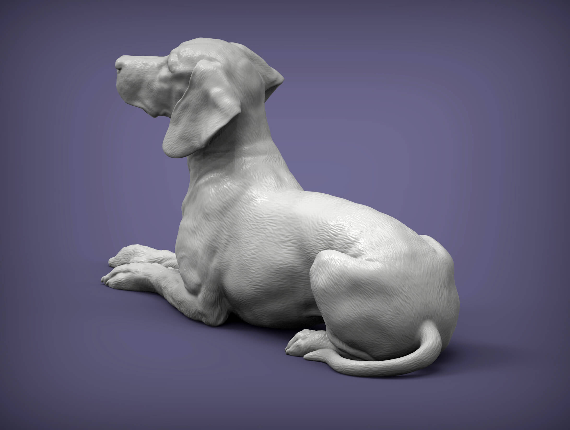 Hungarian Vizsla Hungarian Pointing Dog 3D Print Model by Alexander3dart
