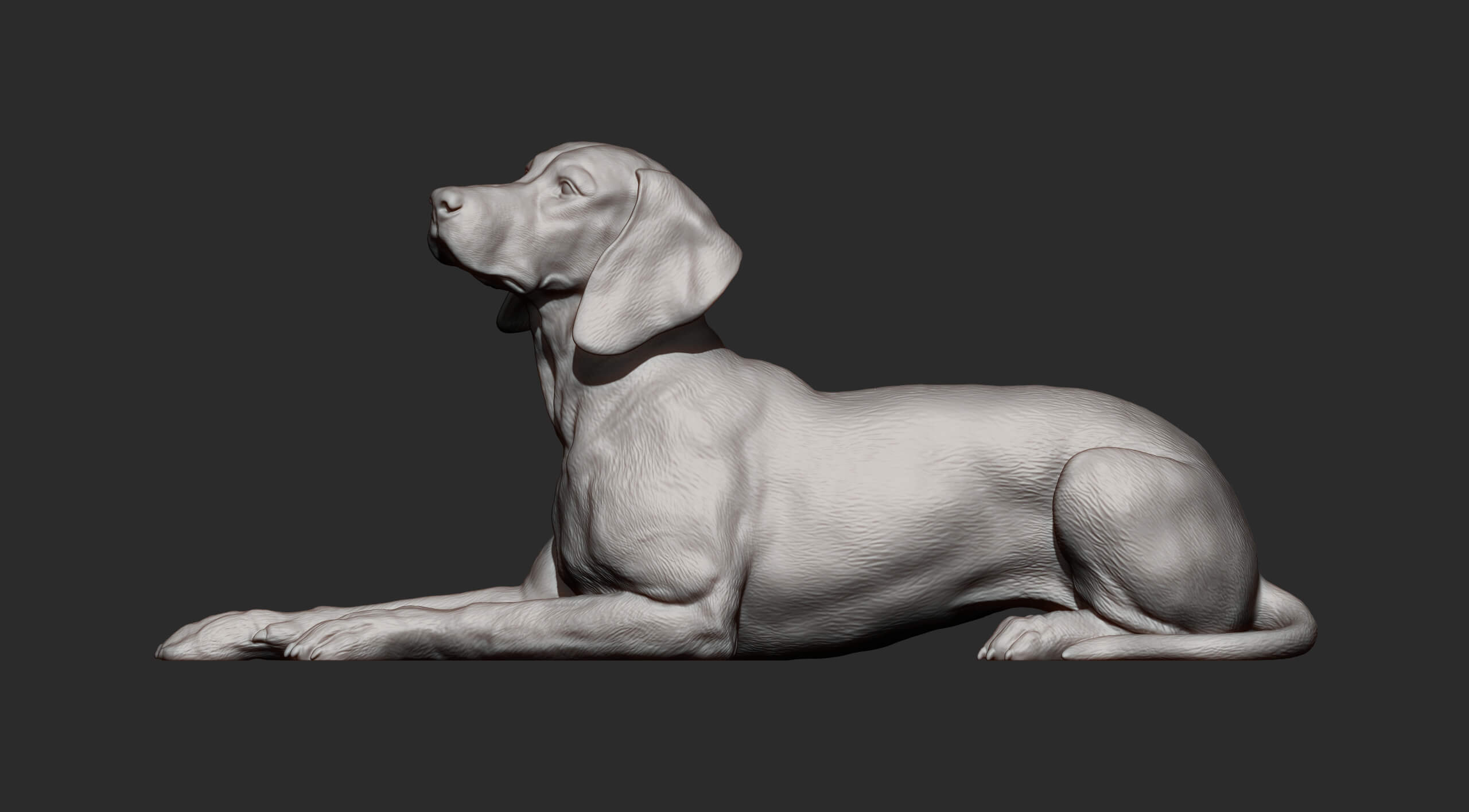 Hungarian Vizsla Hungarian Pointing Dog 3D Print Model by Alexander3dart