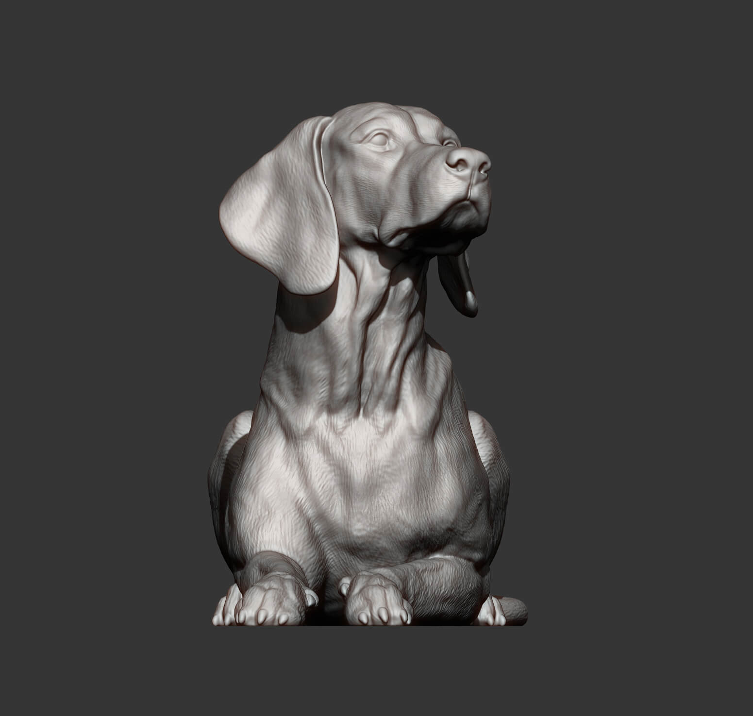 Hungarian Vizsla Hungarian Pointing Dog 3D Print Model by Alexander3dart