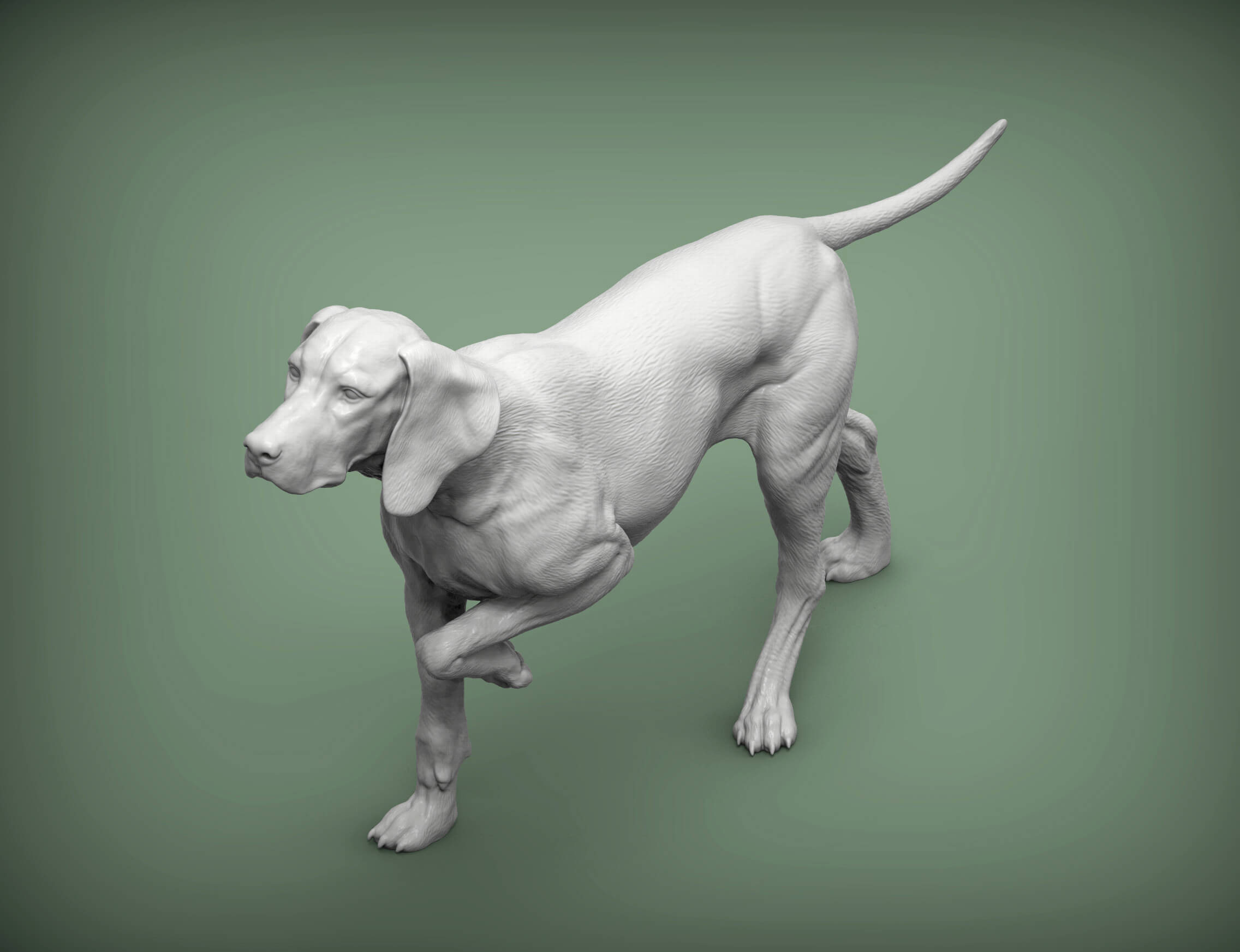 Hungarian Vizsla Hungarian Pointing Dog 3D Print Model by Alexander3dart