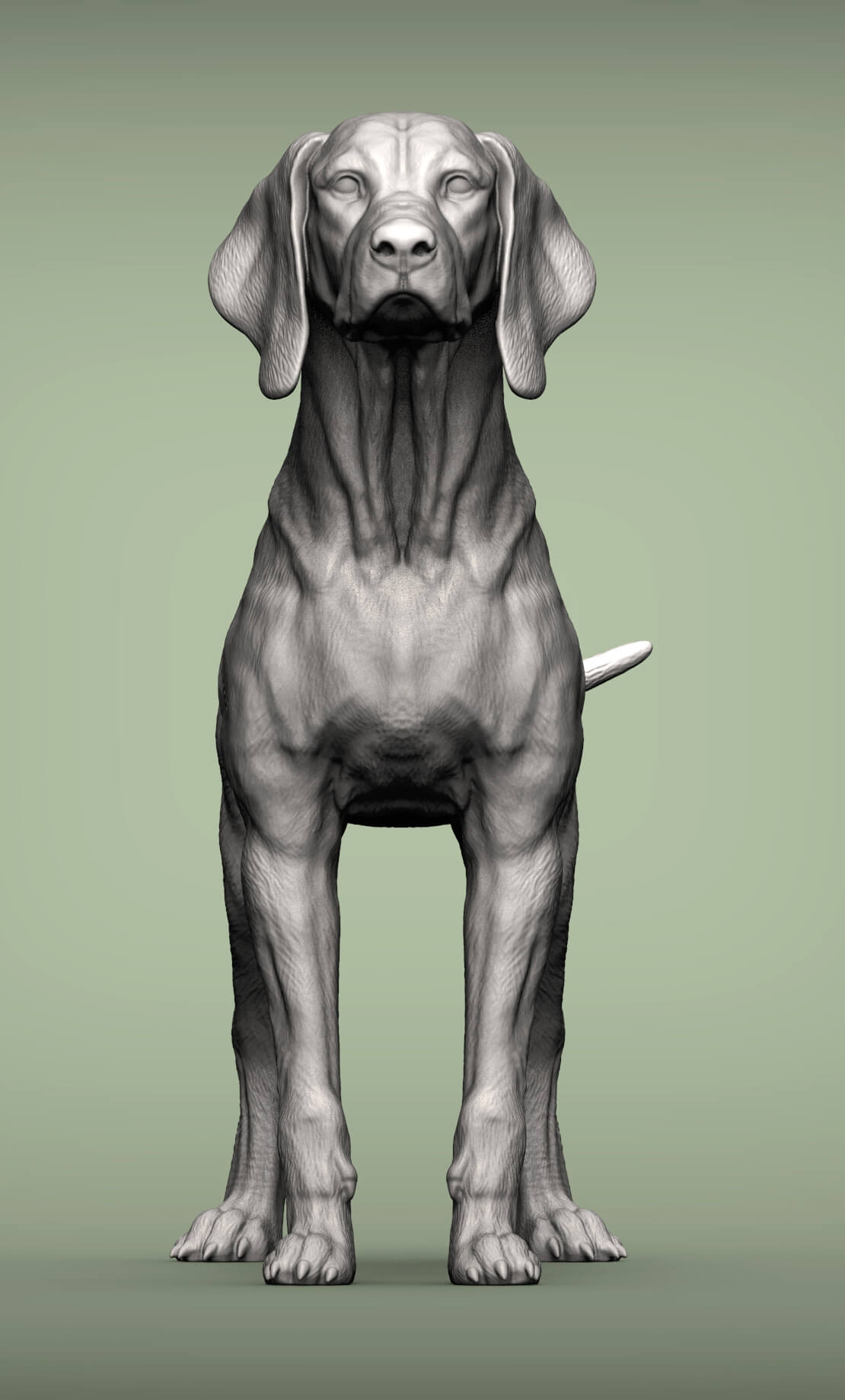 Hungarian Vizsla Hungarian Pointing Dog 3D Print Model by Alexander3dart