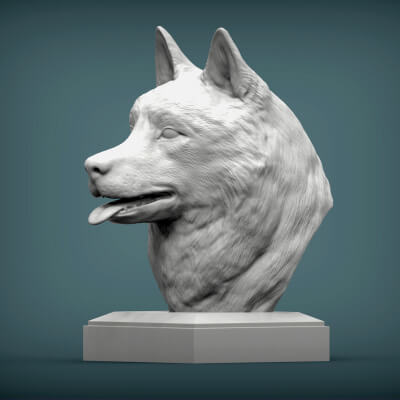 Sculpture Husky Bust - 3D Model by Alexander3dart