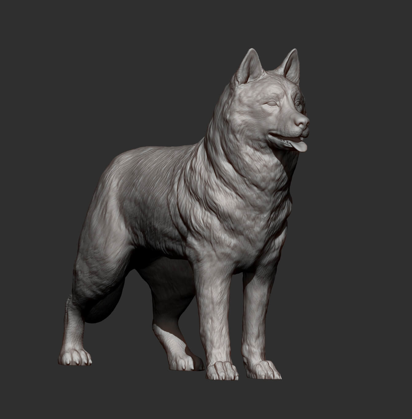 Husky Dog Sculpture - 3D Model by Alexander3dart