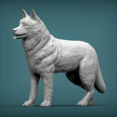 Husky Dog Sculpture - 3D Model by Alexander3dart
