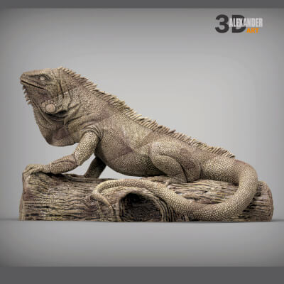 Iguana Sculpture - 3D Model by Alexander3dart