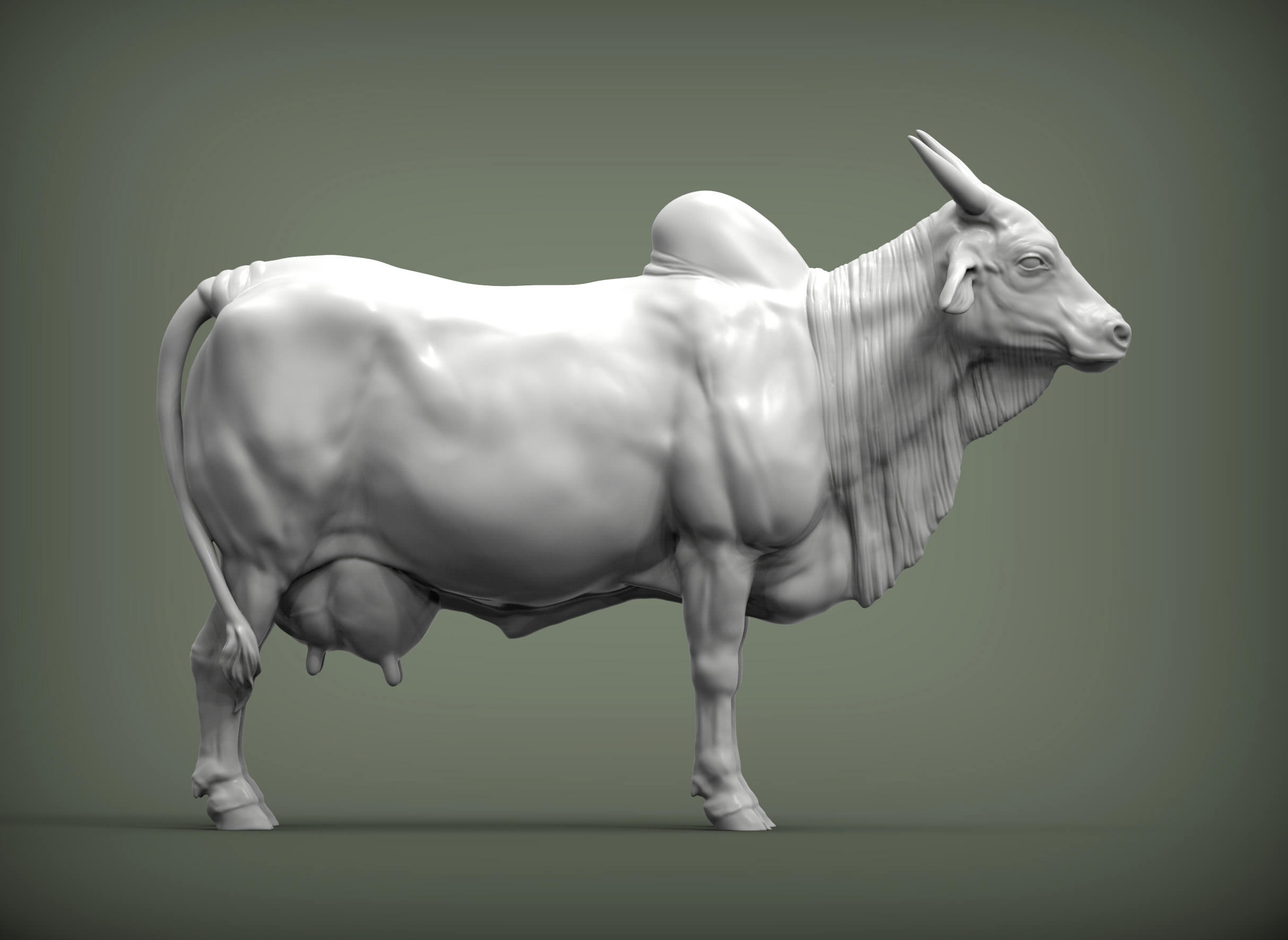 Indian Cow 3D Print Model by Alexander3dart