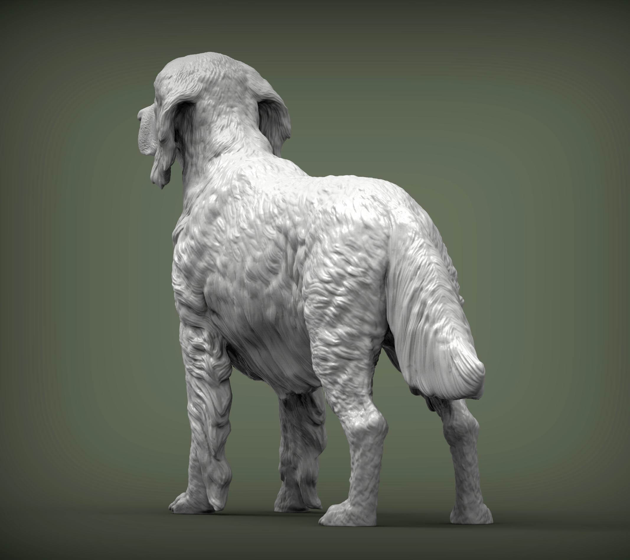 Irish Red Setter 3D Print Model by Alexander3dart