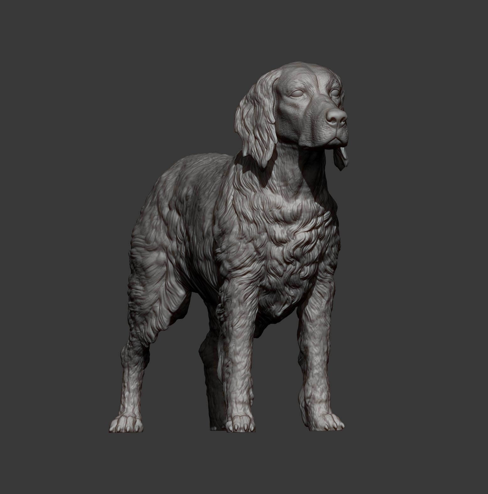Irish Red Setter 3D Print Model by Alexander3dart