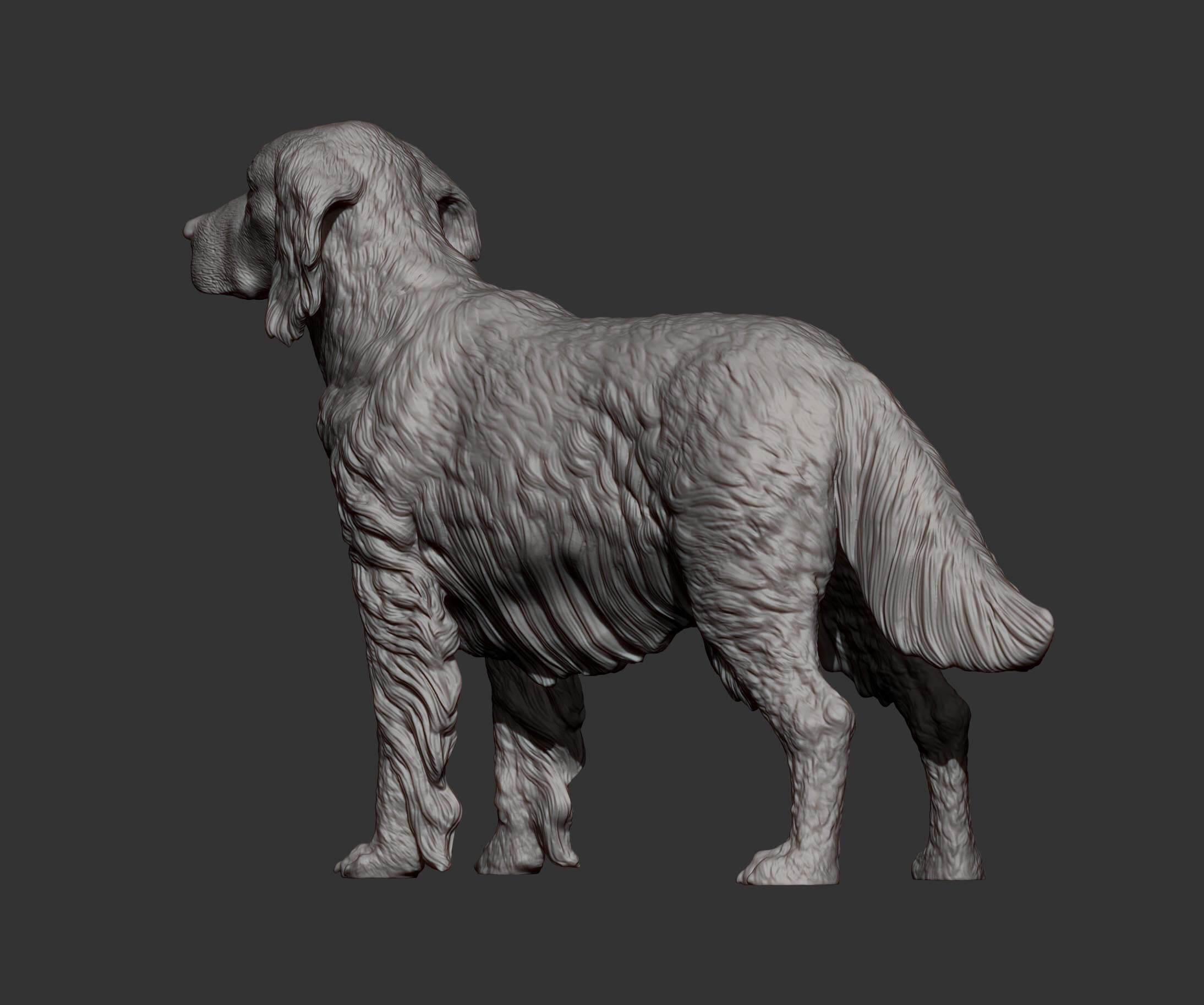 Irish Red Setter 3D Print Model by Alexander3dart