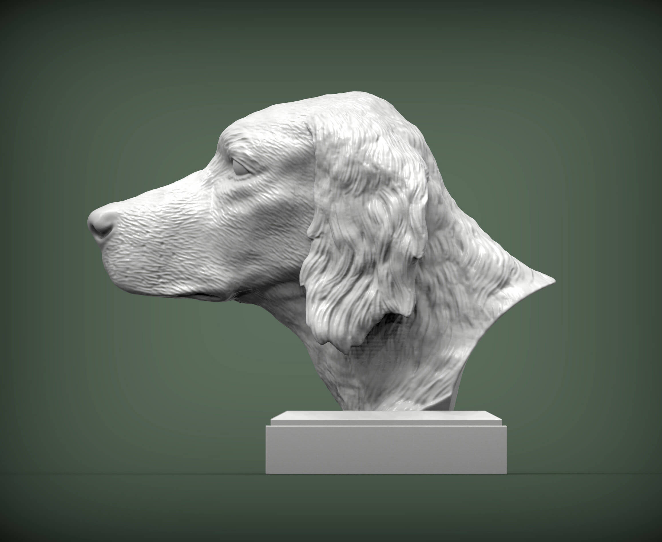 Irish Red Setter Bust 3D Print Model by Alexander3dart