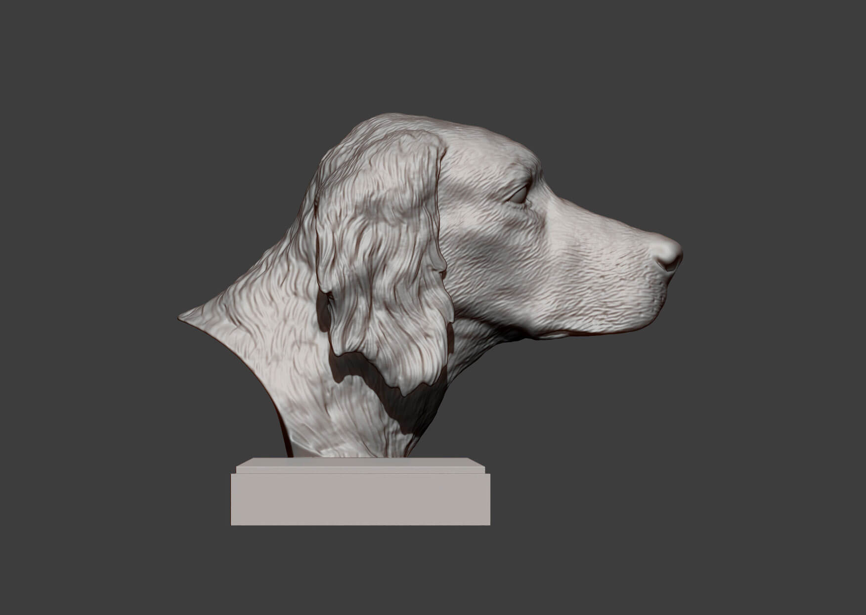 Irish Red Setter Bust 3D Print Model by Alexander3dart