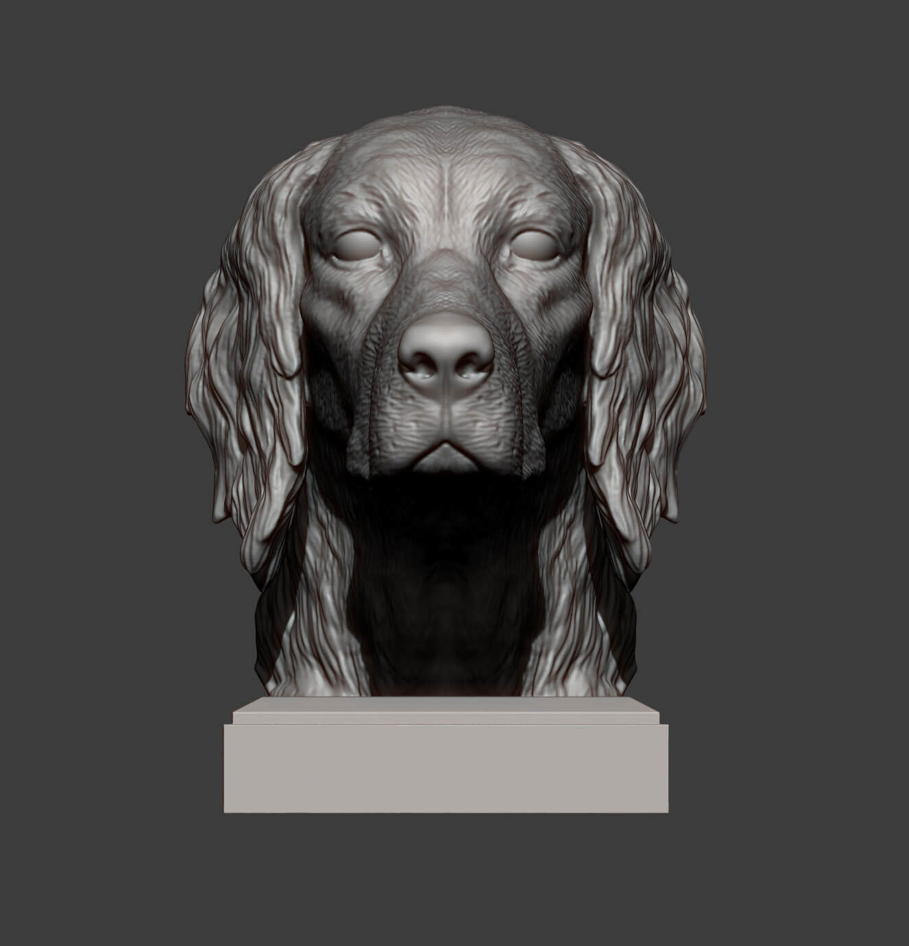 Irish Red Setter Bust 3D Print Model by Alexander3dart