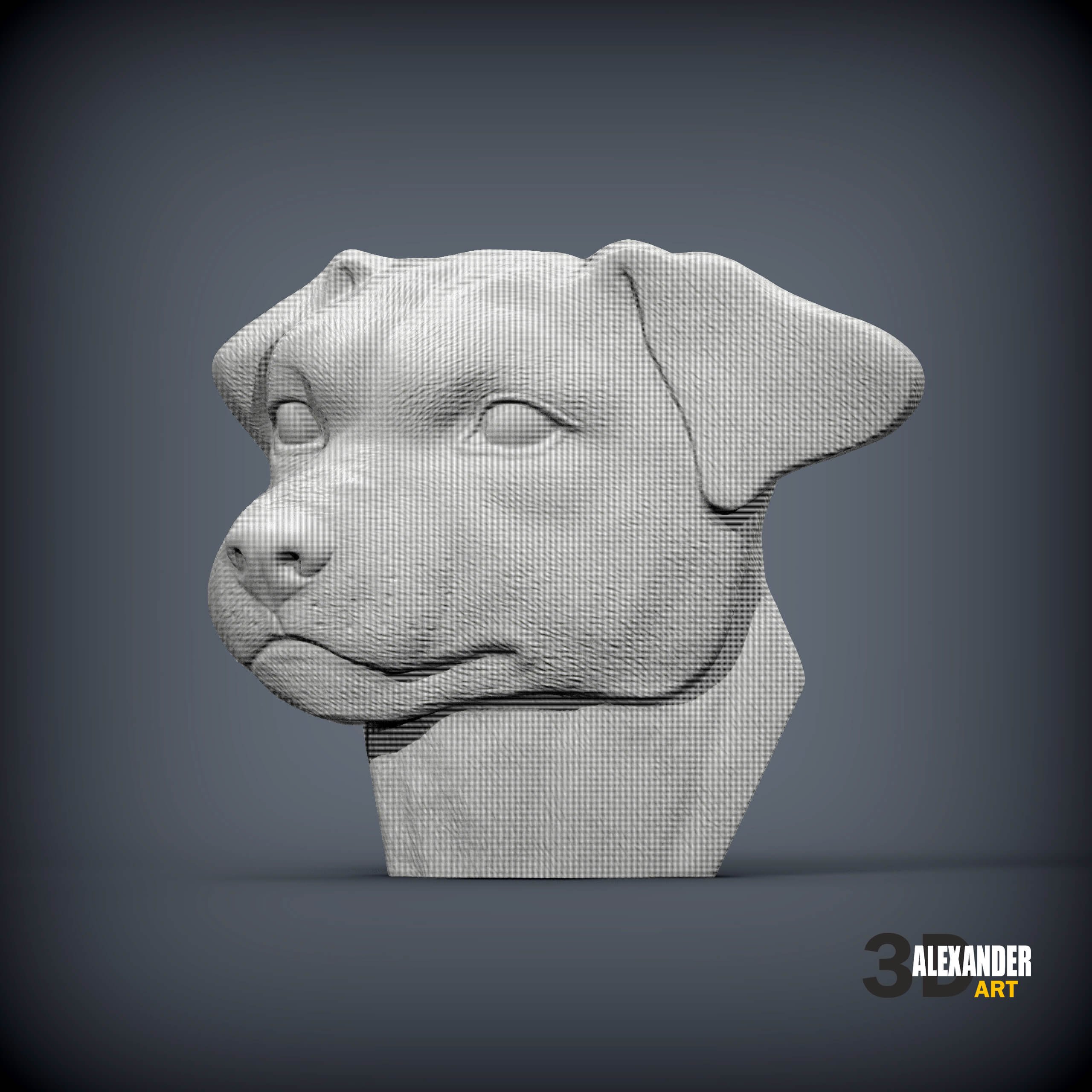 Jack Russell Head Relief - 3D Model by Alexander3dart