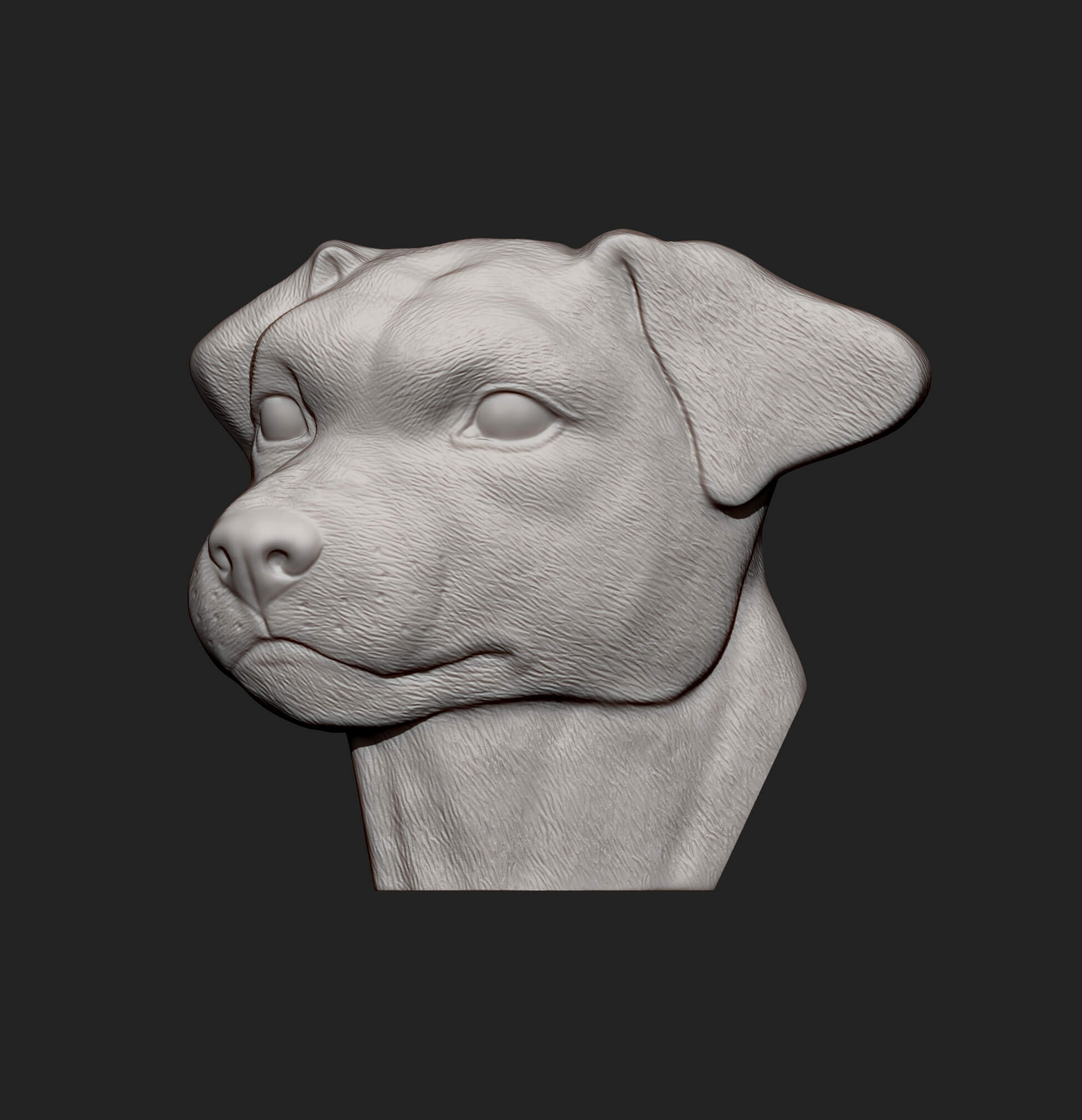 Jack Russell Head Relief - 3D Model by Alexander3dart