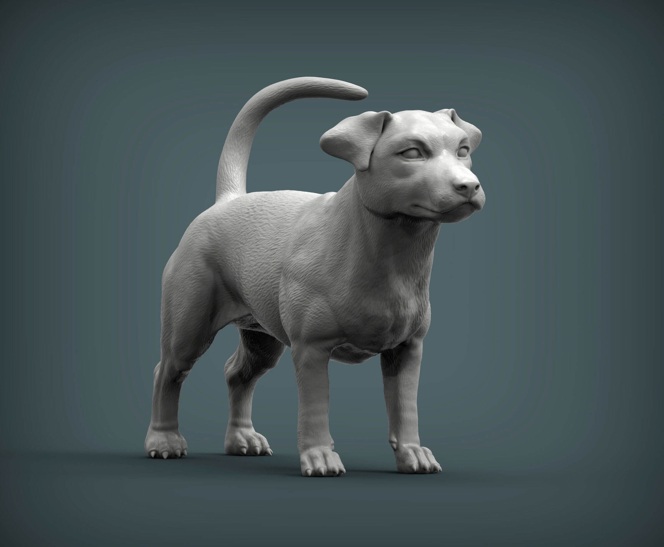 Jack Russell Terrier - 3D Model by Alexander3dart
