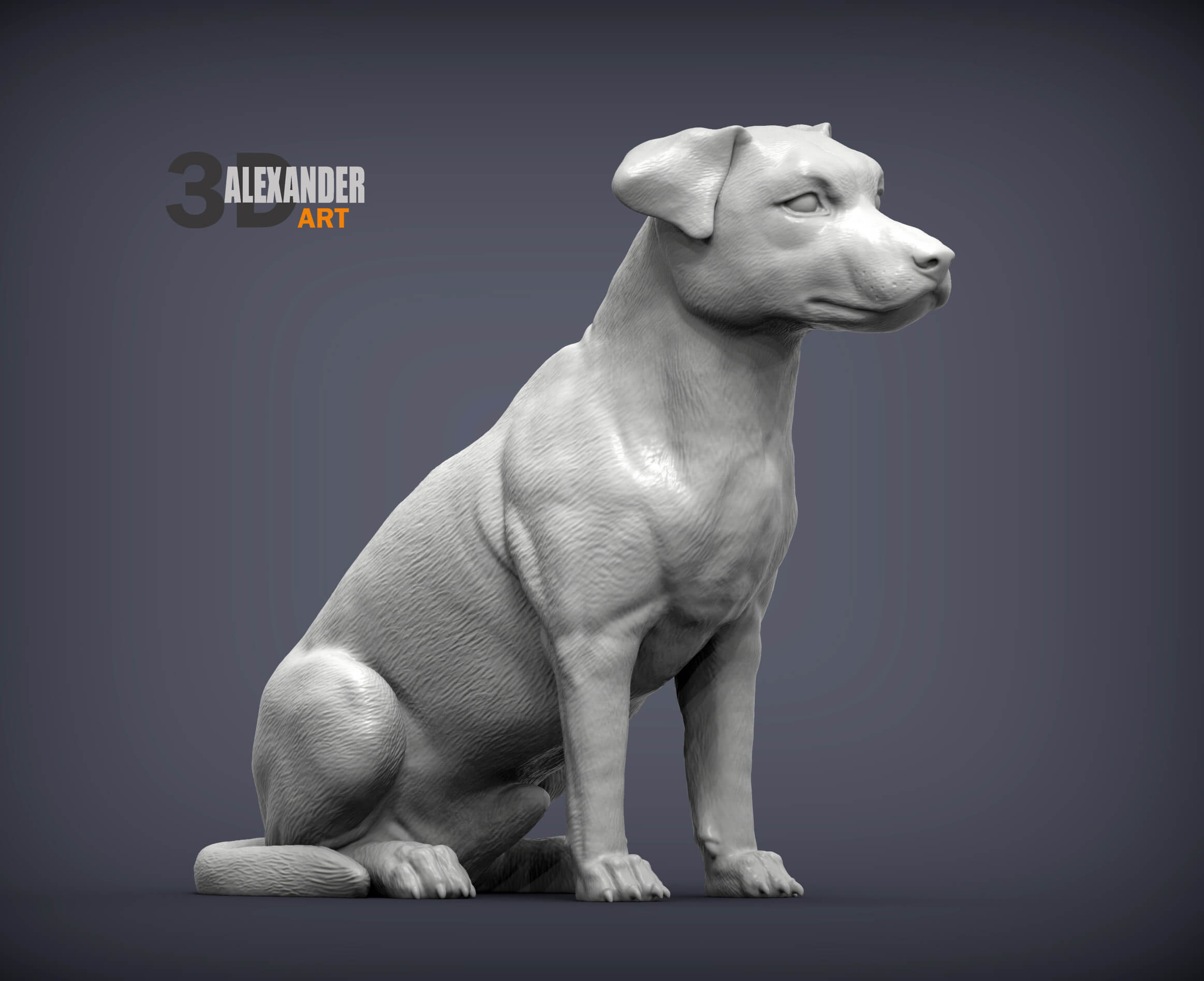Jack Russell Terrier Longhair 3D Print Model by Alexander3dart