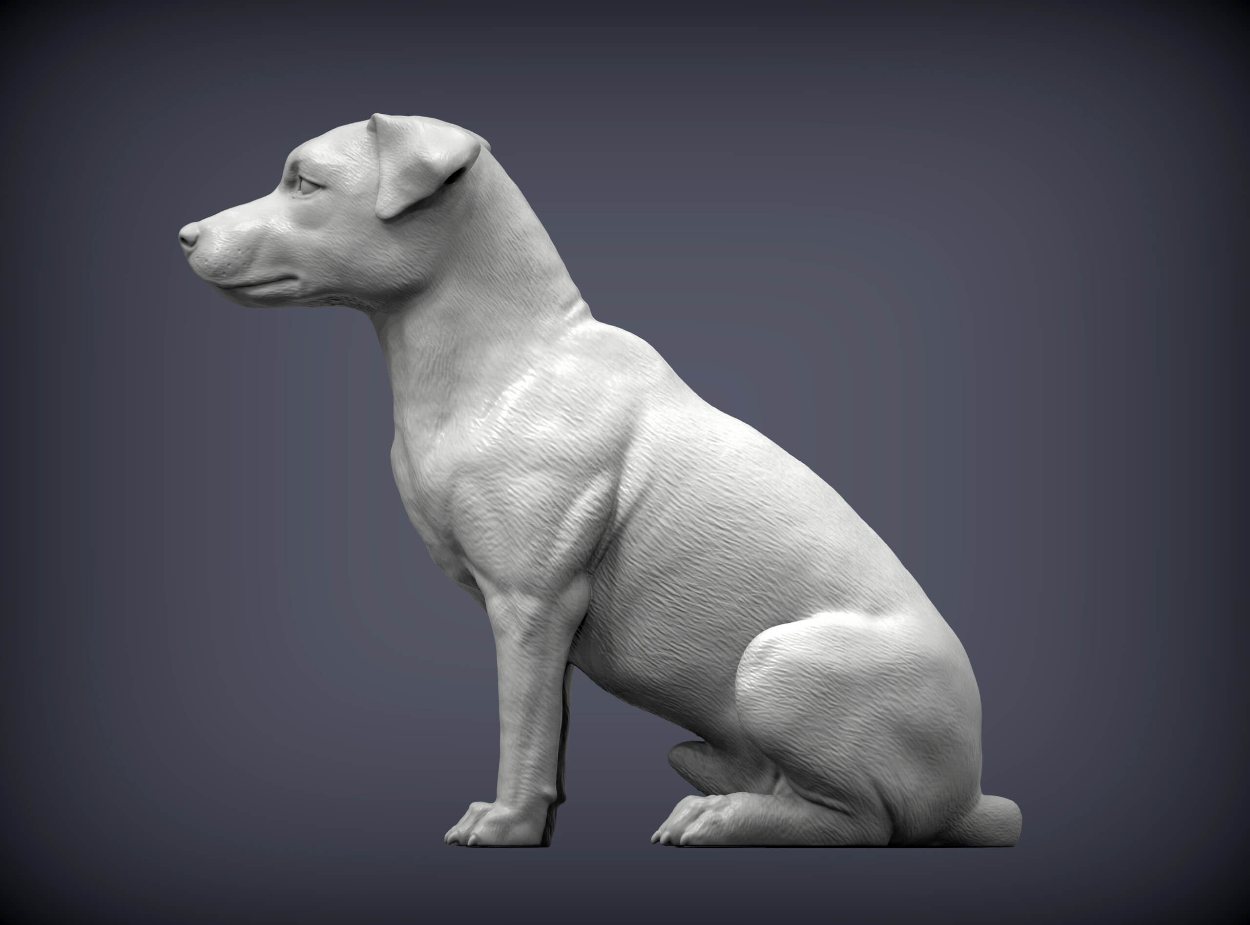Jack Russell Terrier Longhair 3D Print Model by Alexander3dart