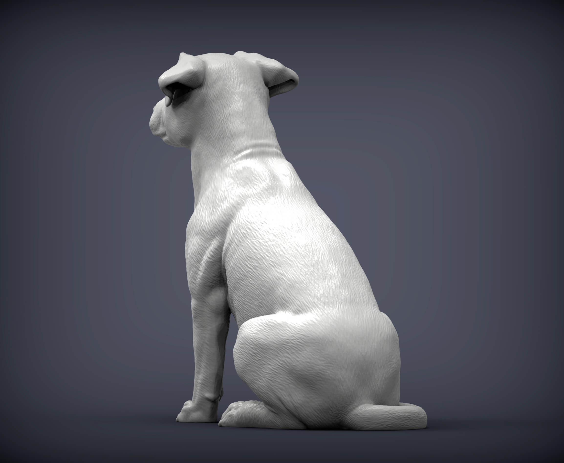 Jack Russell Terrier Longhair 3D Print Model by Alexander3dart