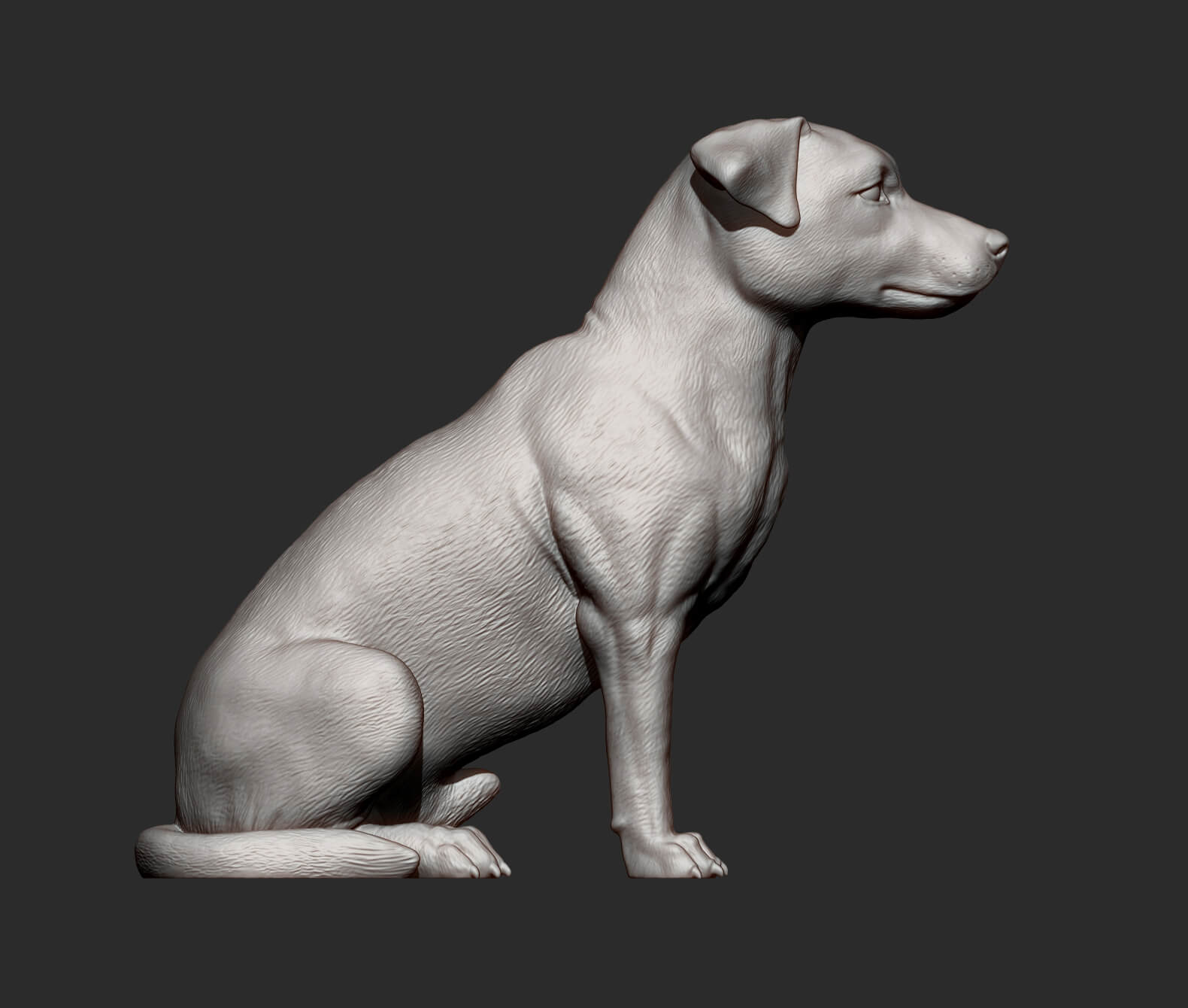 Jack Russell Terrier Longhair 3D Print Model by Alexander3dart