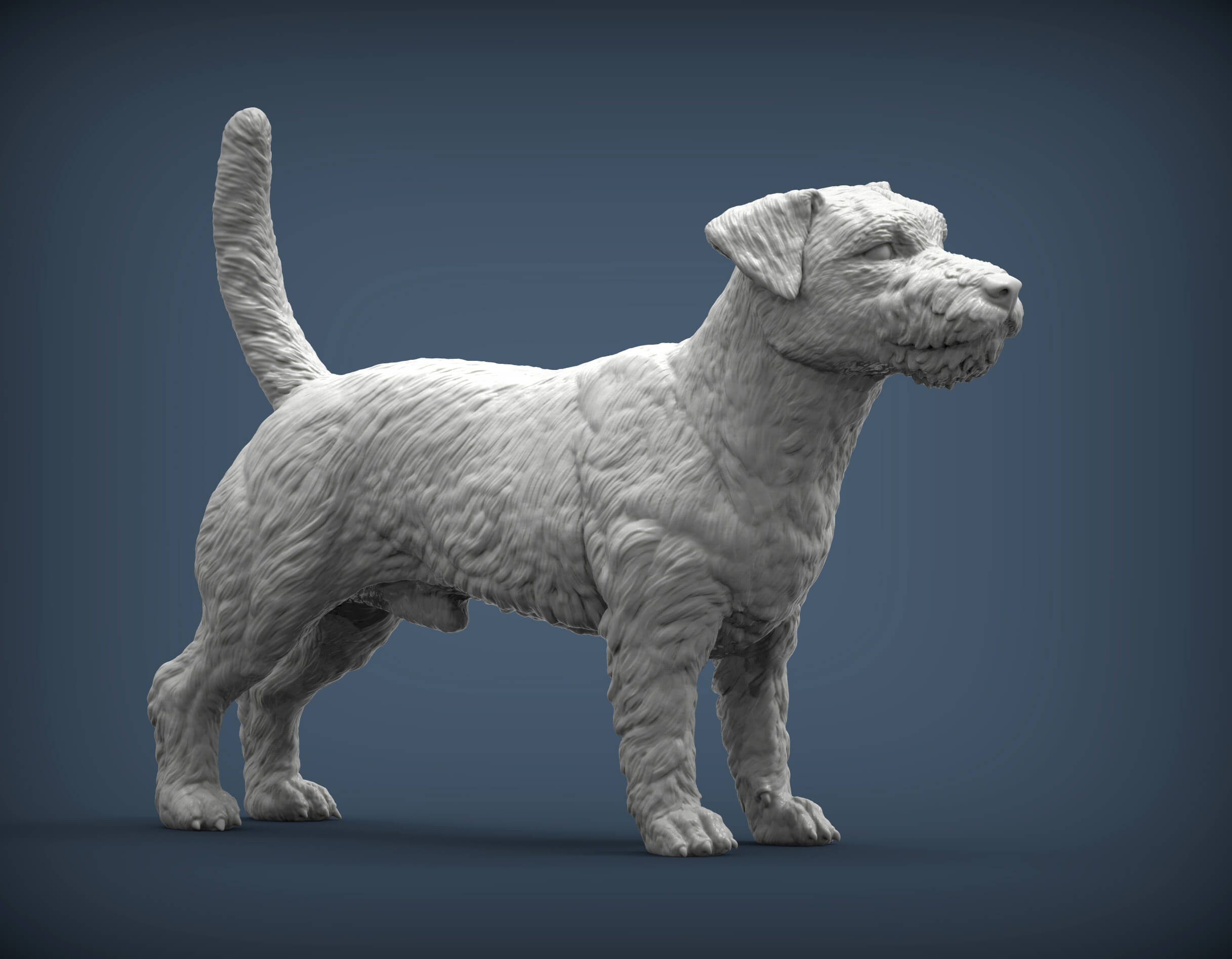 Jack Russell Terrier Longhair 3D Print Model by Alexander3dart