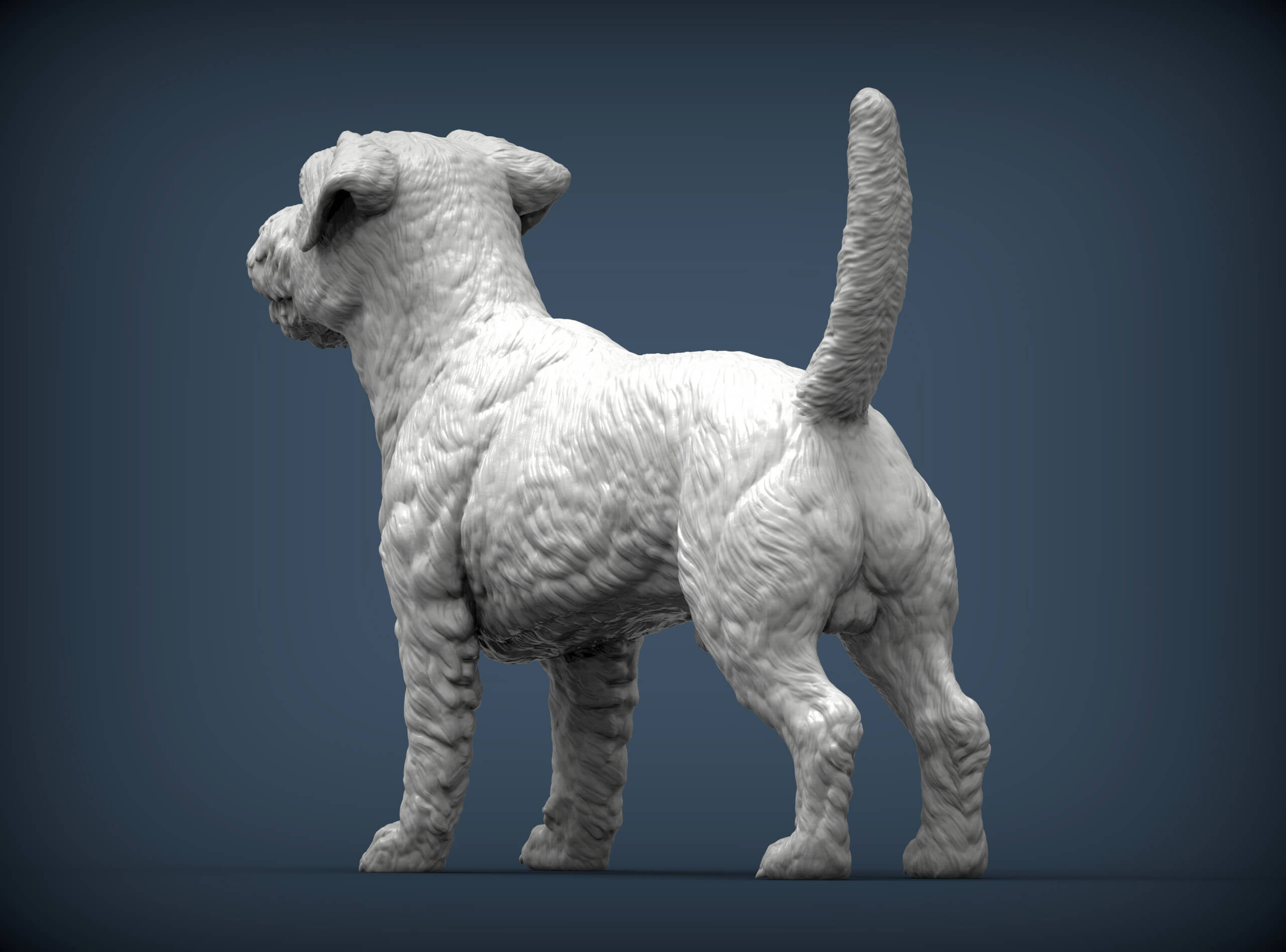 Jack Russell Terrier Longhair 3D Print Model by Alexander3dart