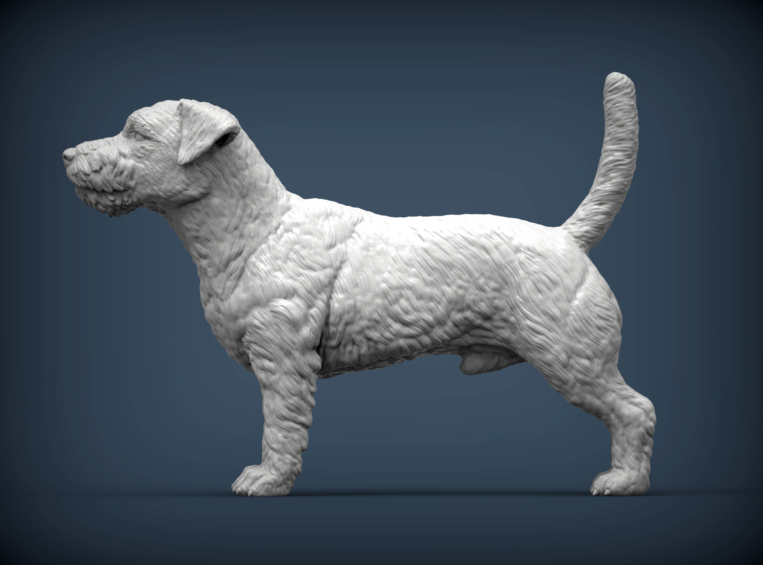 Jack Russell Terrier Longhair 3D Print Model by Alexander3dart