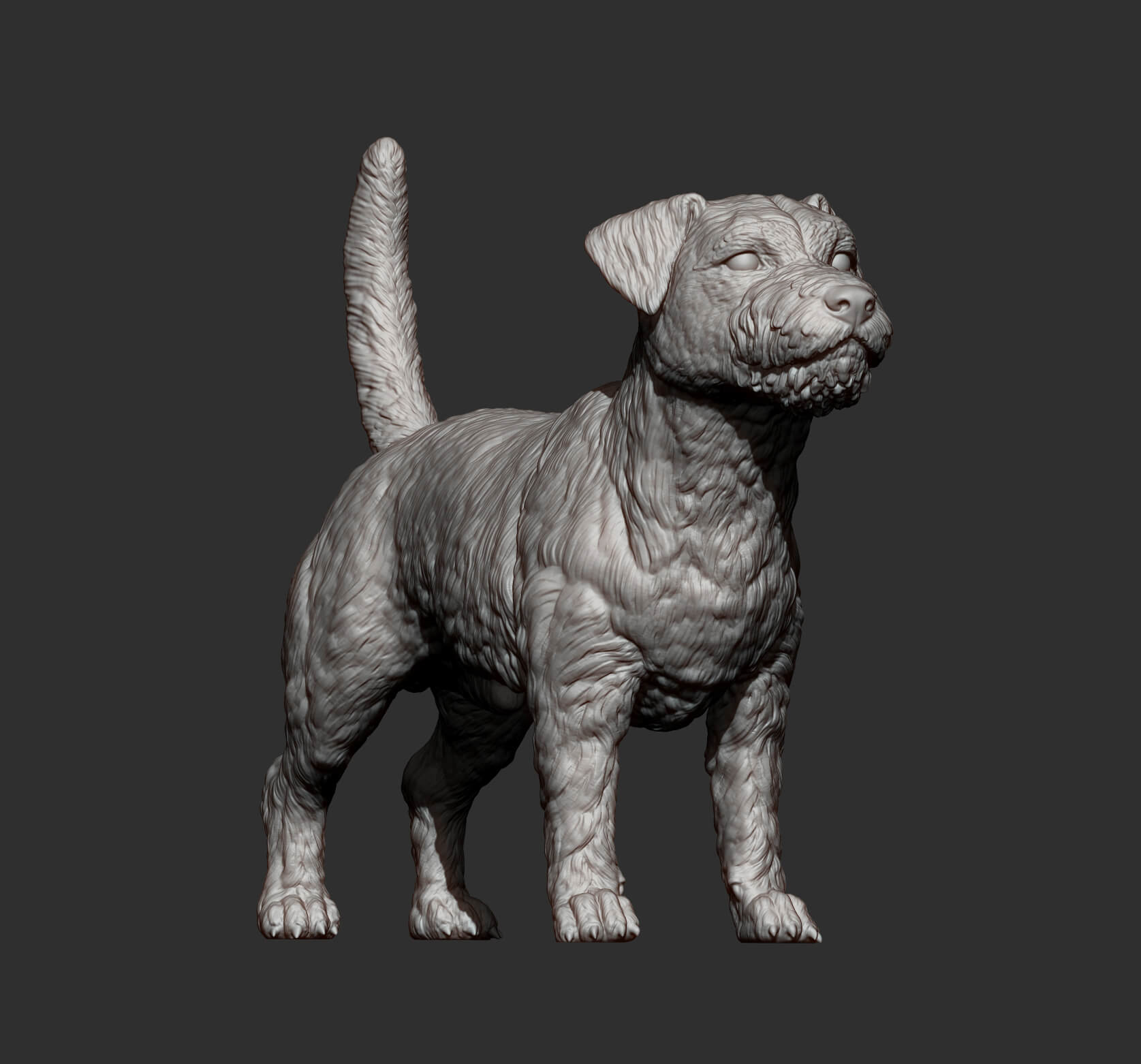 Jack Russell Terrier Longhair 3D Print Model by Alexander3dart
