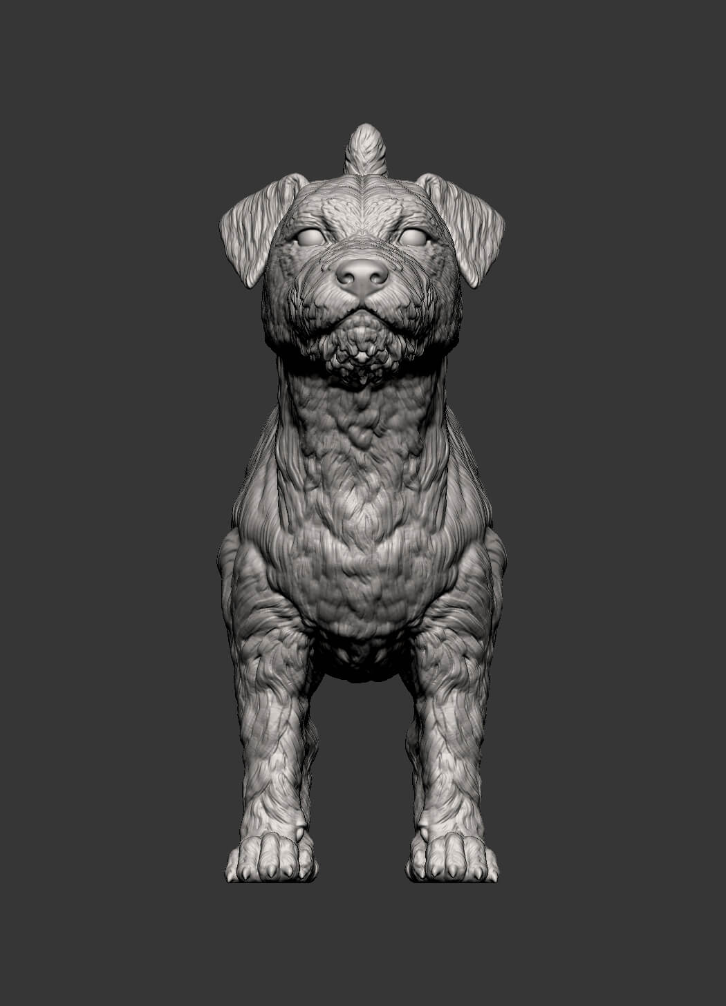 Jack Russell Terrier Longhair 3D Print Model by Alexander3dart