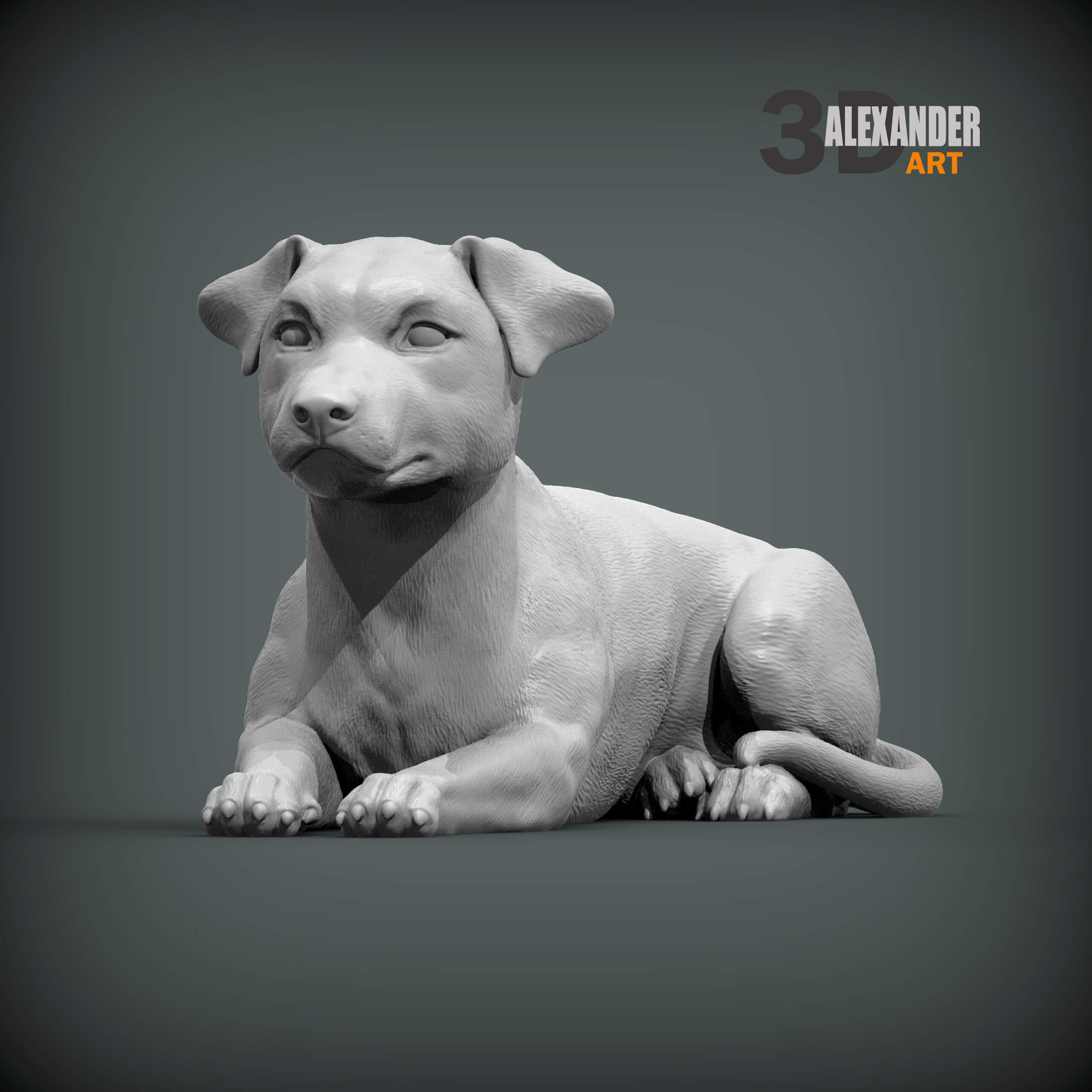 Jack Russell Terrier Lying Down - 3D Model by Alexander3dart