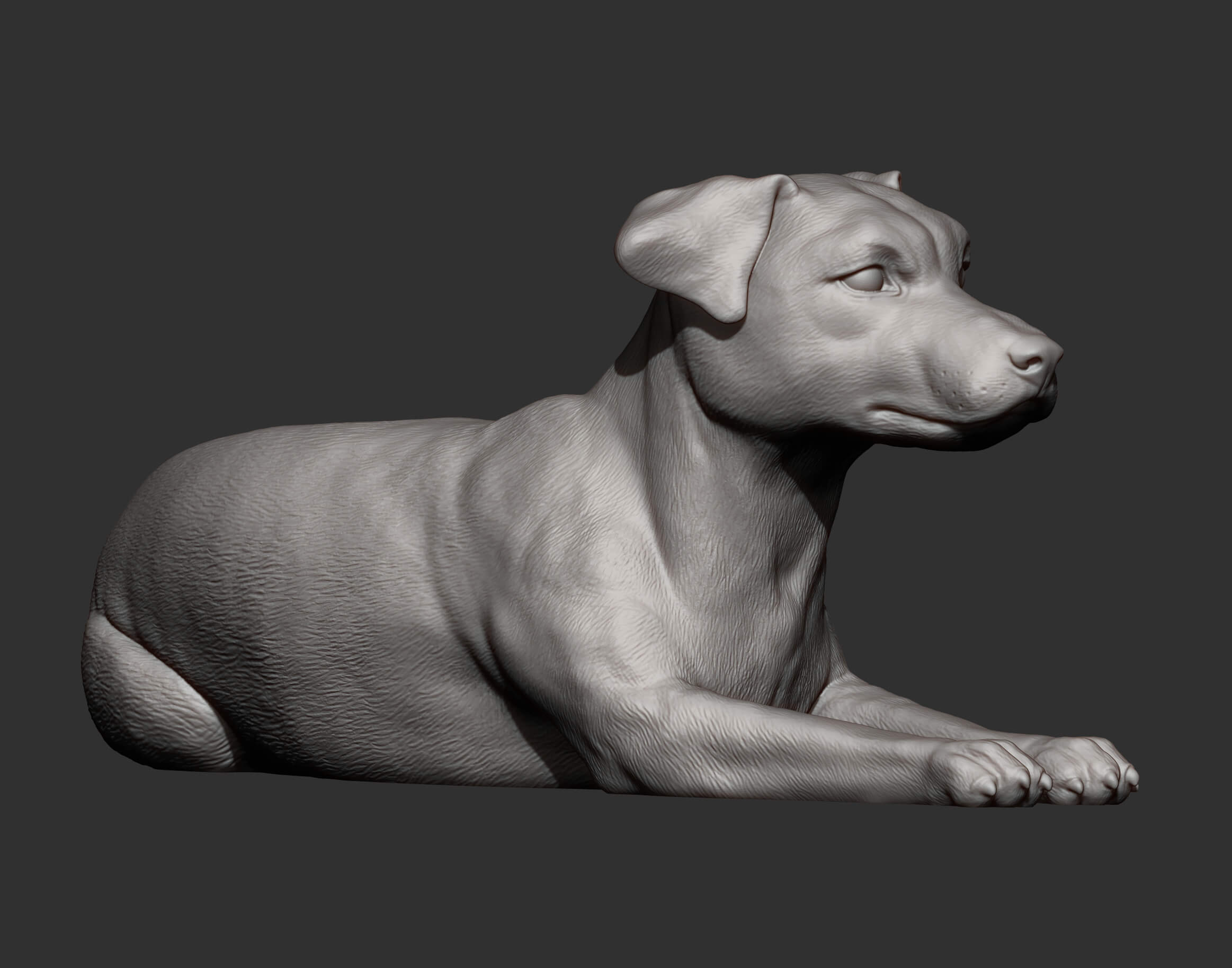 Jack Russell Terrier Lying Down - 3D Model by Alexander3dart